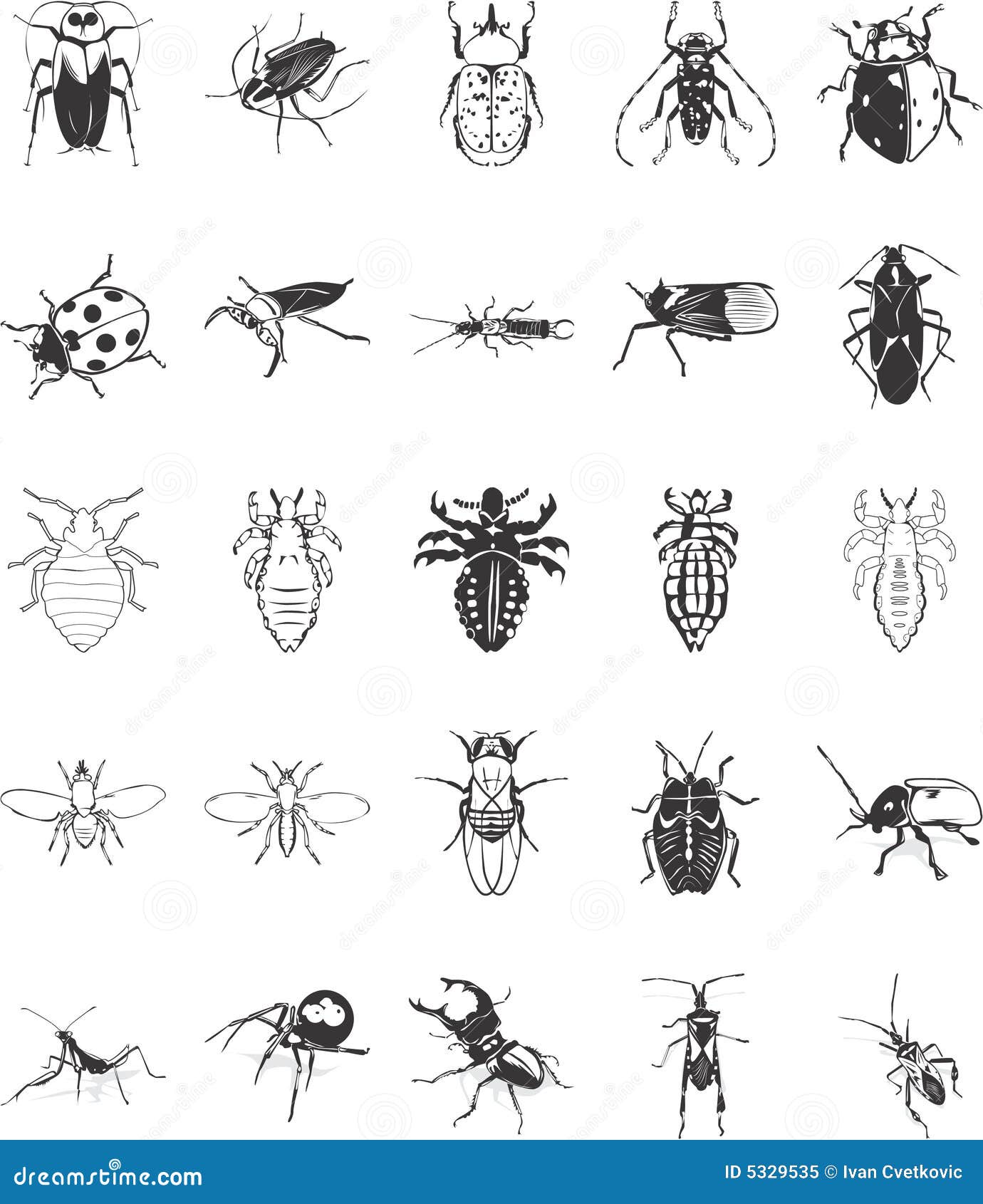Illustrations of Bugs stock vector. Illustration of collection - 5329535