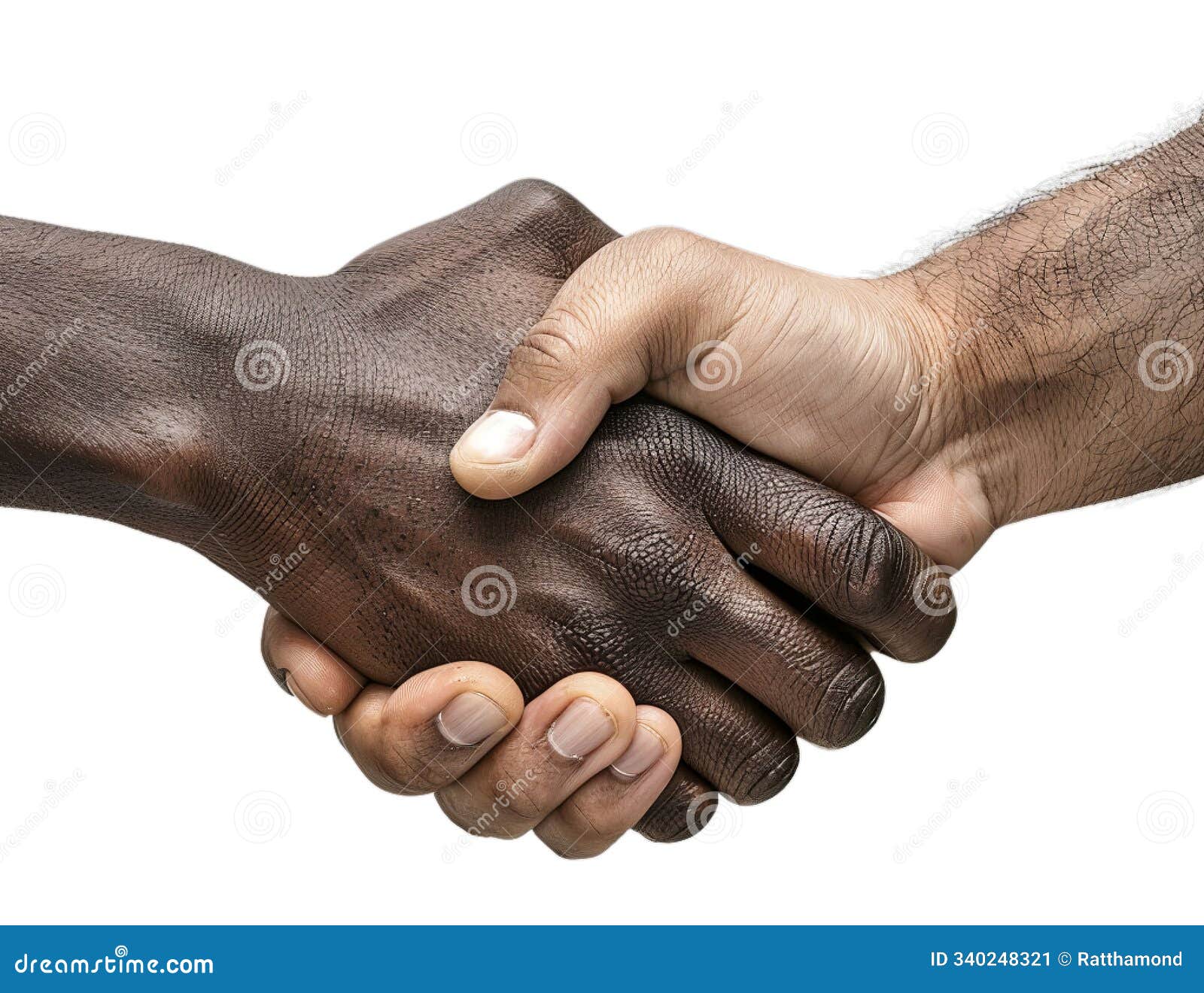 Two Hands, One Light-skinned and One Dark-skinned, Clasp in a Firm ...