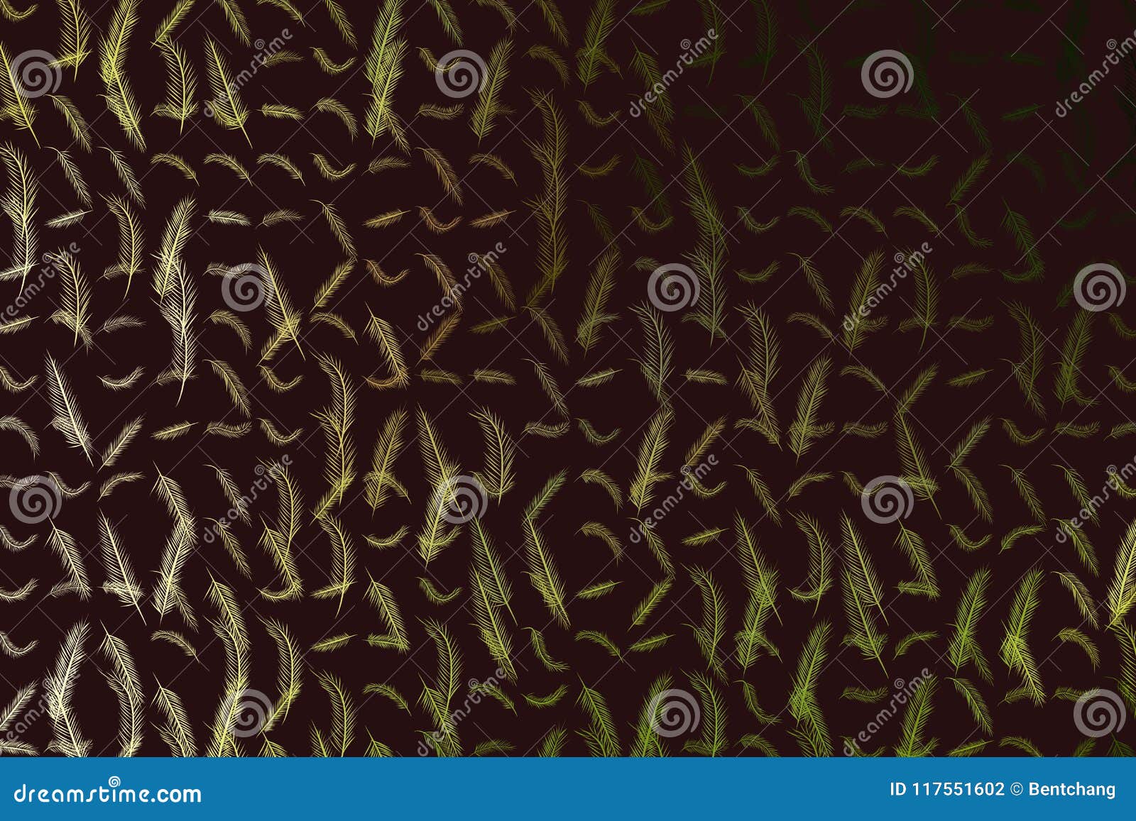 Illustrations of Feather. Design, Pattern, Texture & Cartoon. Stock ...