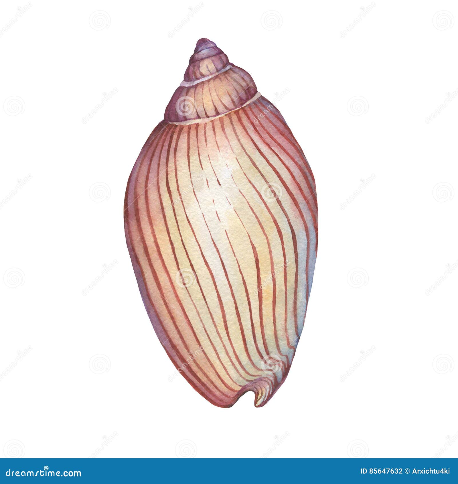 Illustrations Shell Stock Illustrations – 4,972 Illustrations Shell ...
