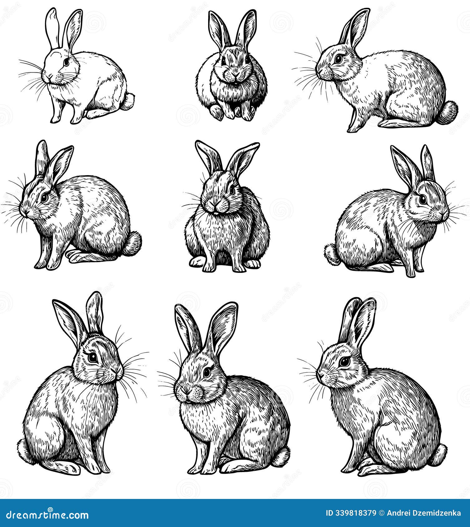 Illustrations and Sketches of Hare, Hand-drawn and Realistic Stock ...