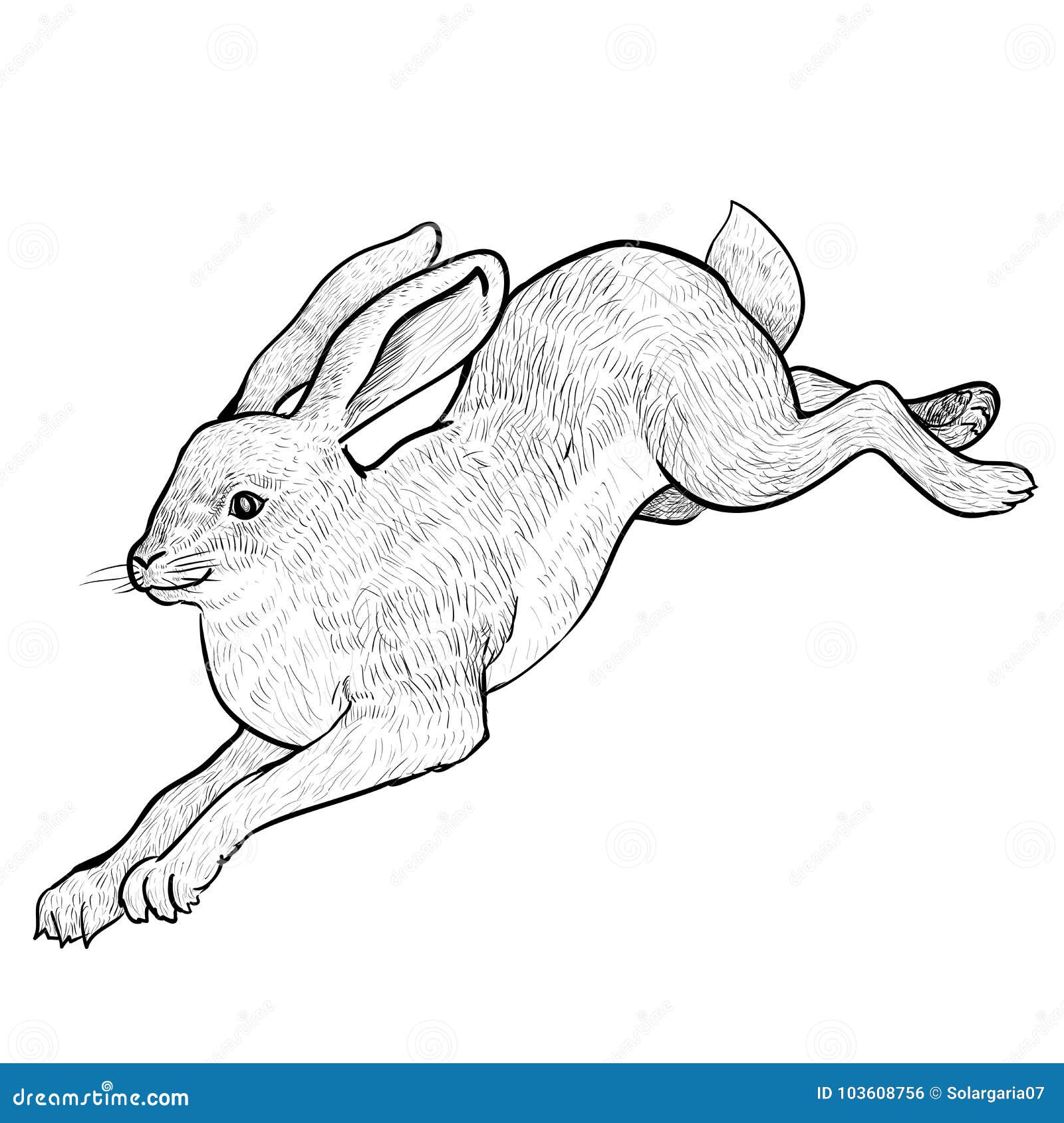 Illustrations-springende Hasen - Hand Gezeichneter Vektor Vektor ...