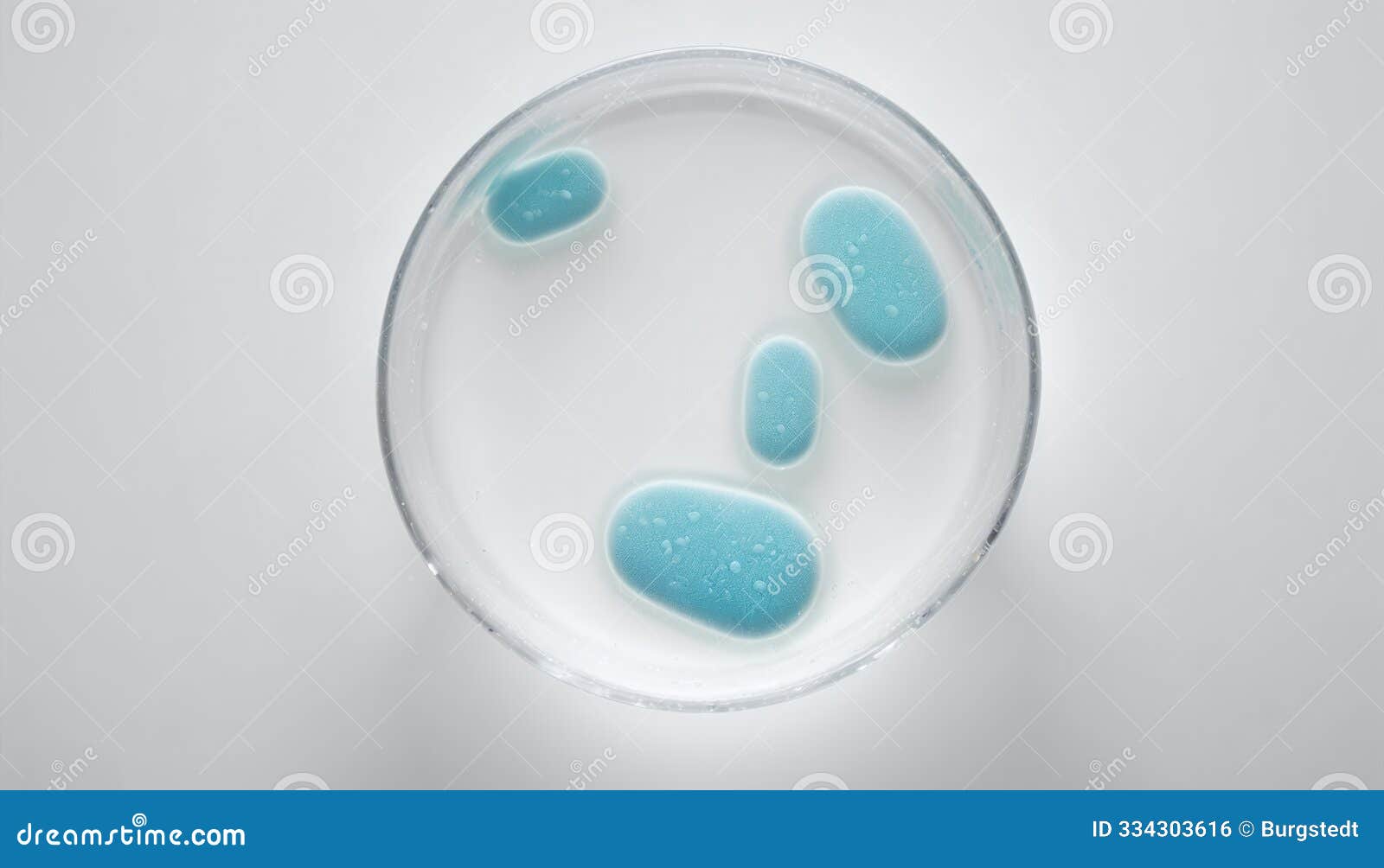 Illustrative Presentation of Different Pathogens on the Culture Medium ...