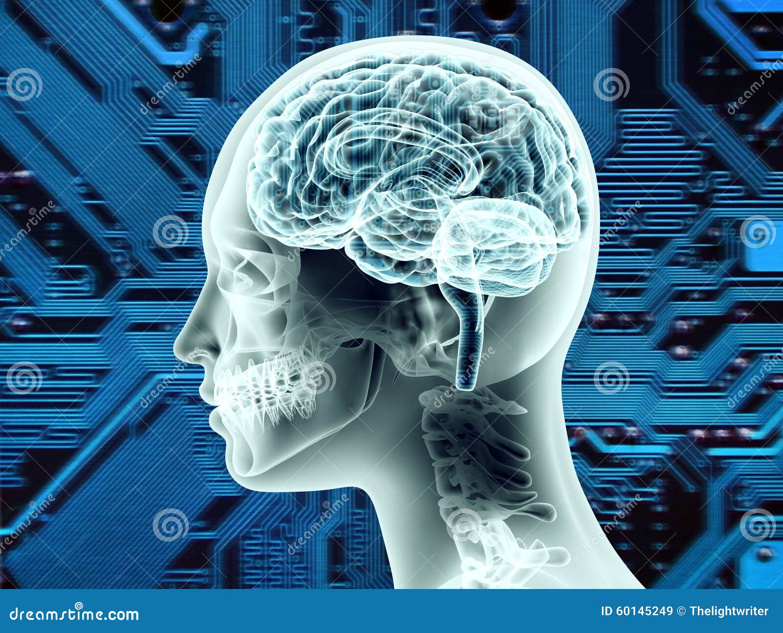 Brain Forehead Tree Logo People Green Concept Logo. Cartoon Vector ...