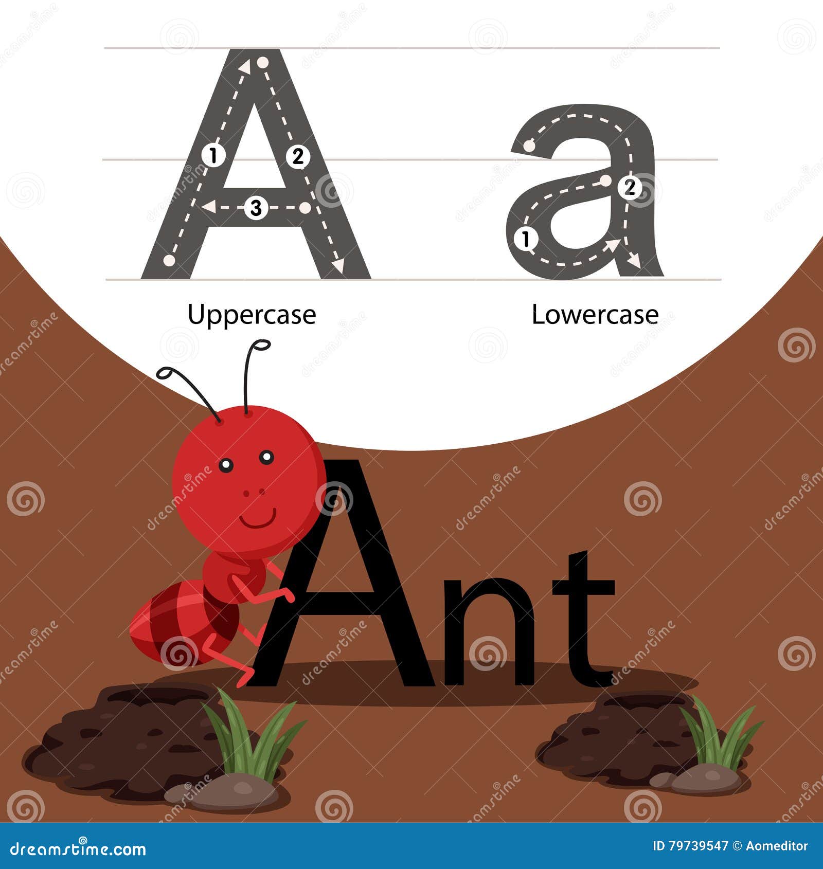 Illustrator of Ant with a Font Stock Vector - Illustration of baboon ...