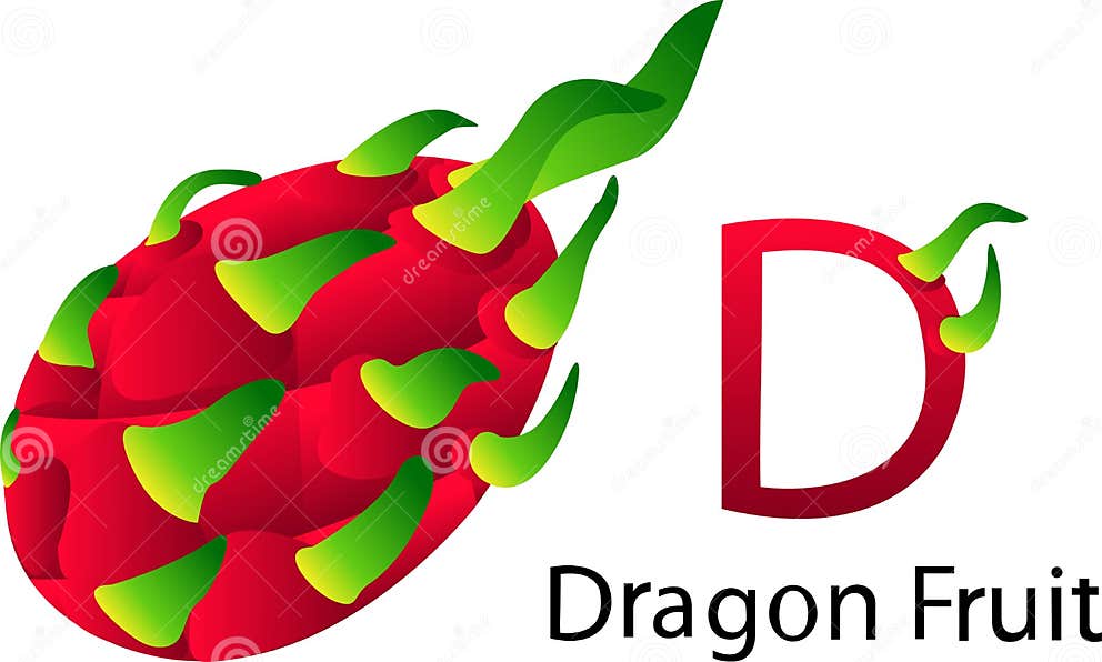 Illustrator D Font with Dragon Fruit Stock Vector - Illustration of apple, alphabet: 47379361