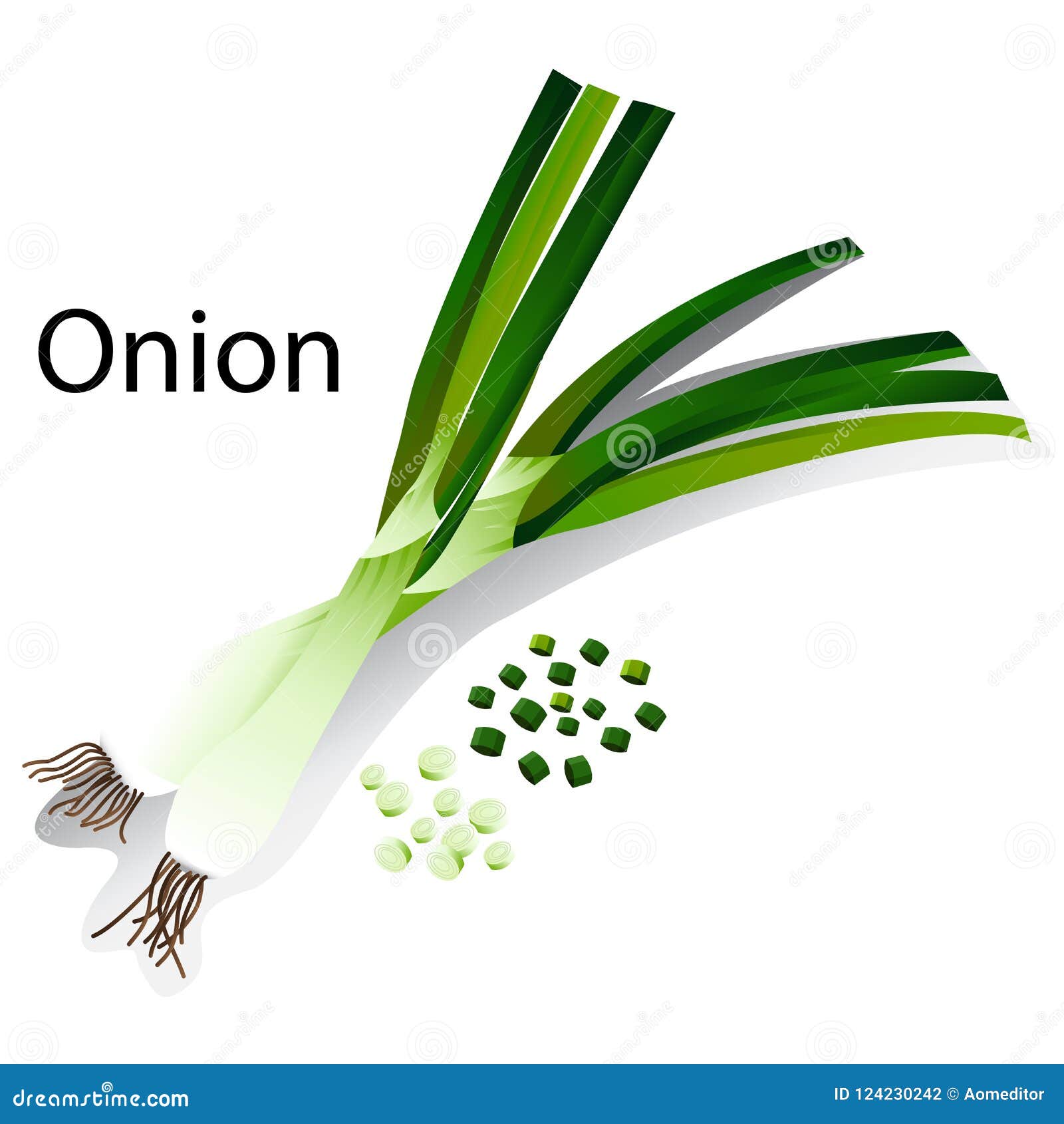 Illustrator De La Fruta Y Verdura De La Cebolla Ilustración del Vector ...