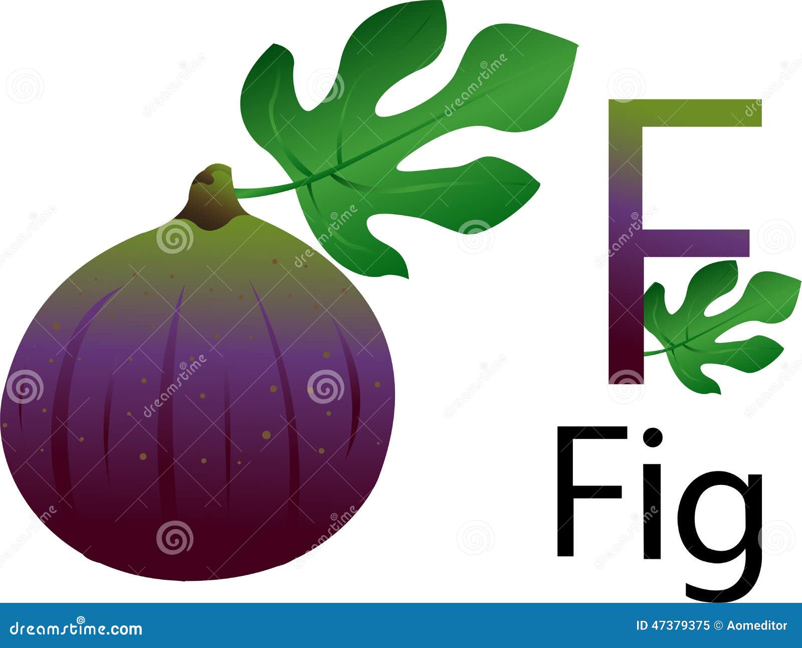 Illustrator F Font Fig Stock Illustrations – 2 Illustrator F Font Fig ...