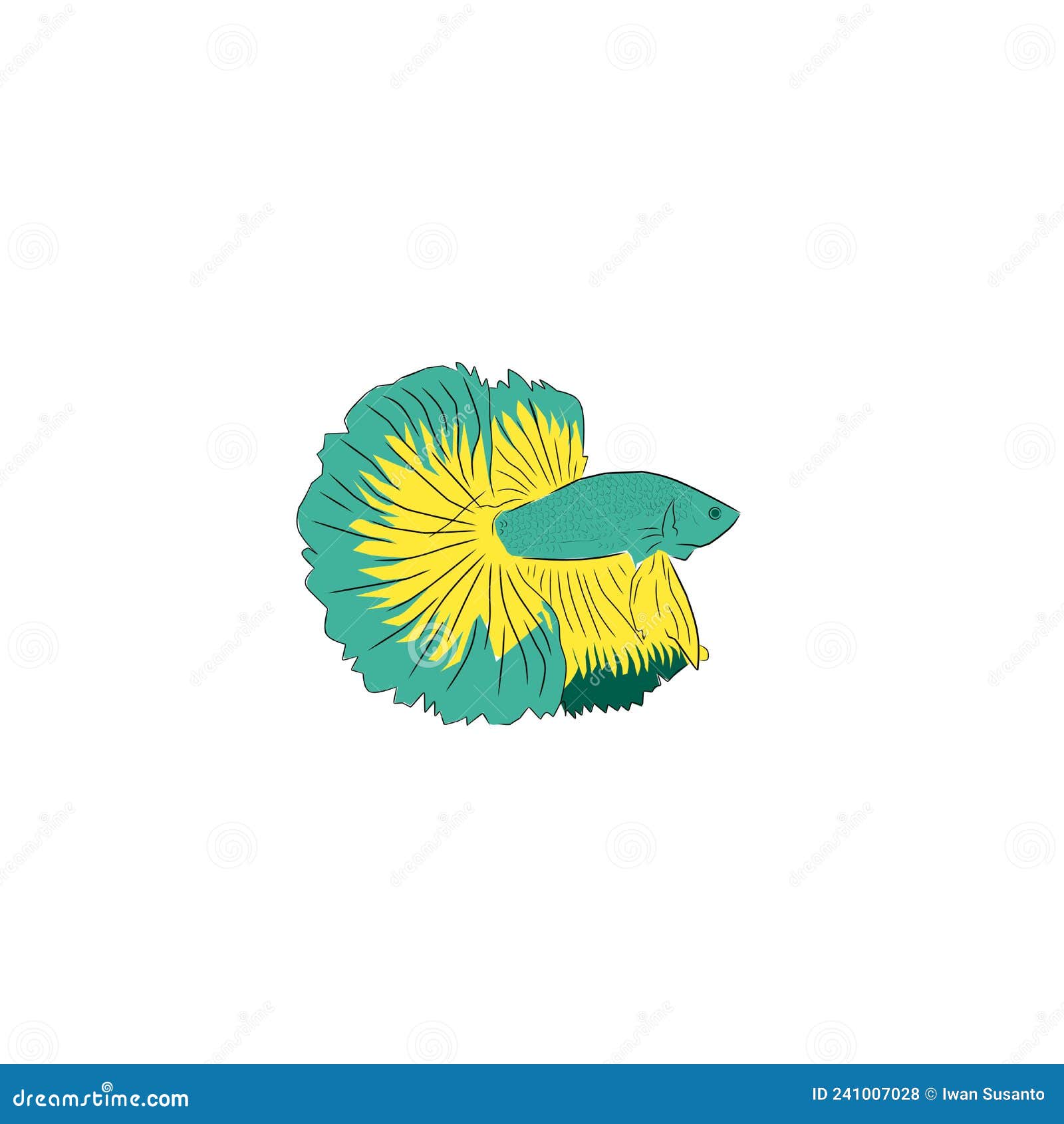 Illustrator Grapic Vector of Siamese Fighting Fish. Stock Vector ...
