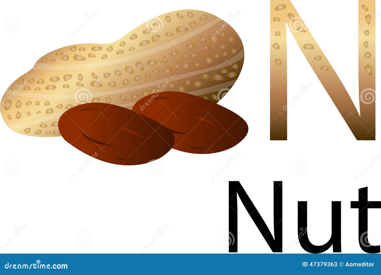 Illustrator N Font with Nut Stock Vector - Illustration of education ...