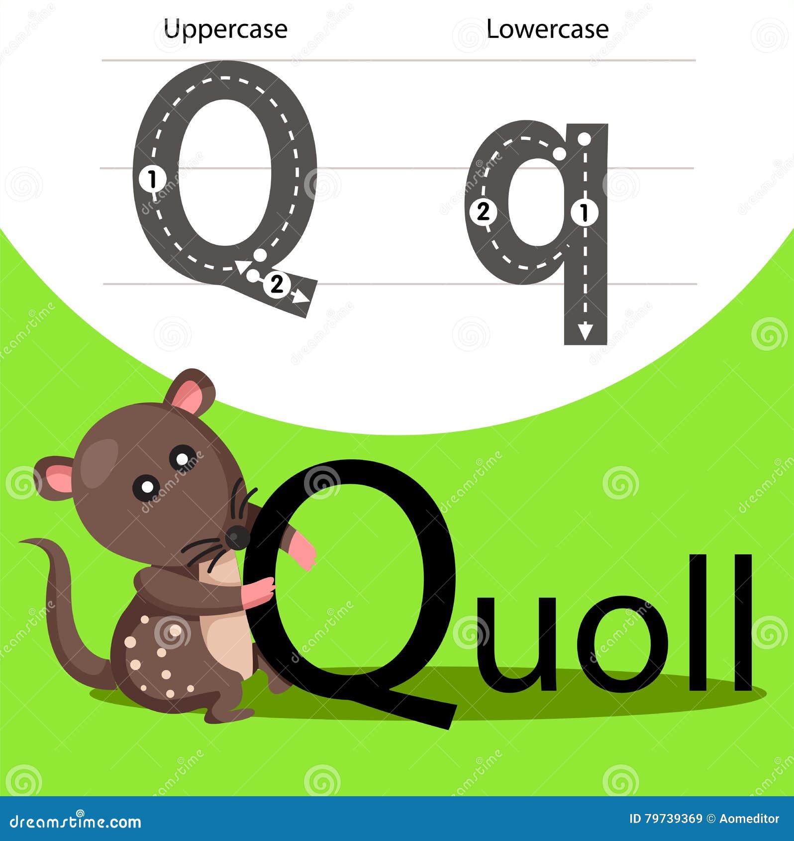 Quoll Cartoons, Illustrations & Vector Stock Images - 479 Pictures to ...