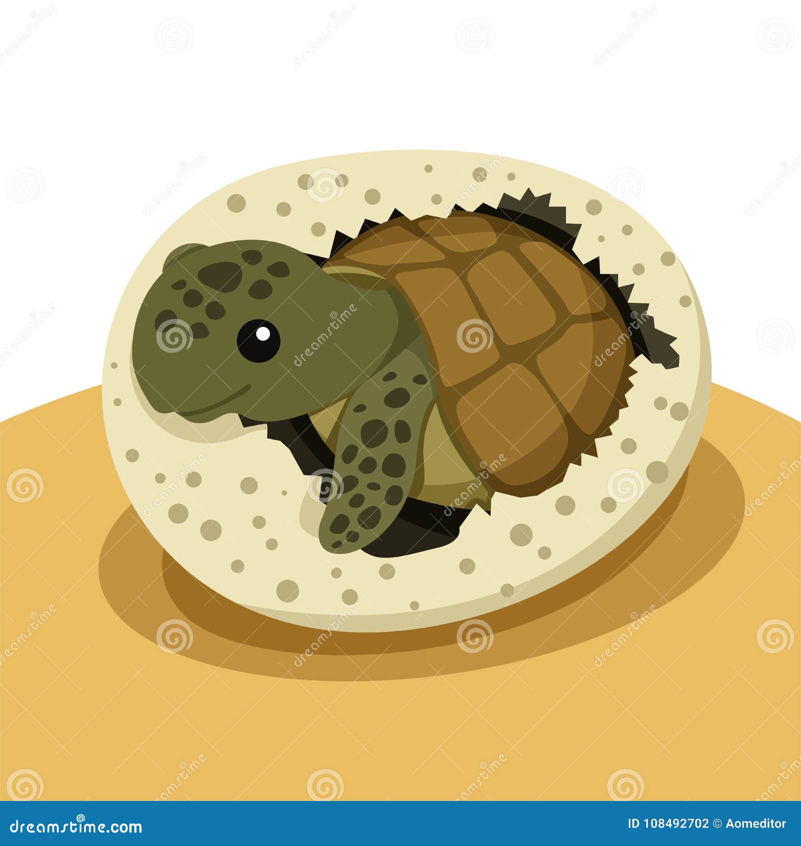 Illustrator of Turtle Baby Animal Stock Vector - Illustration of funny ...