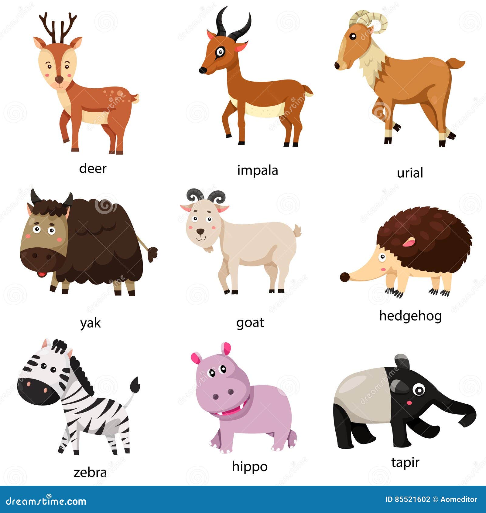 Illustrator of Zoo Animals Set Two Stock Vector - Illustration of ...