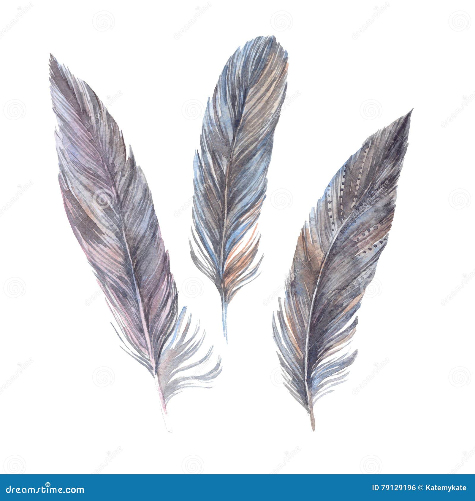 Illustrazione D'annata Disegnata a Mano - Insieme Delle Piume ... Illustrazione D'annata Disegnata a Mano - Insieme Delle Piume ...