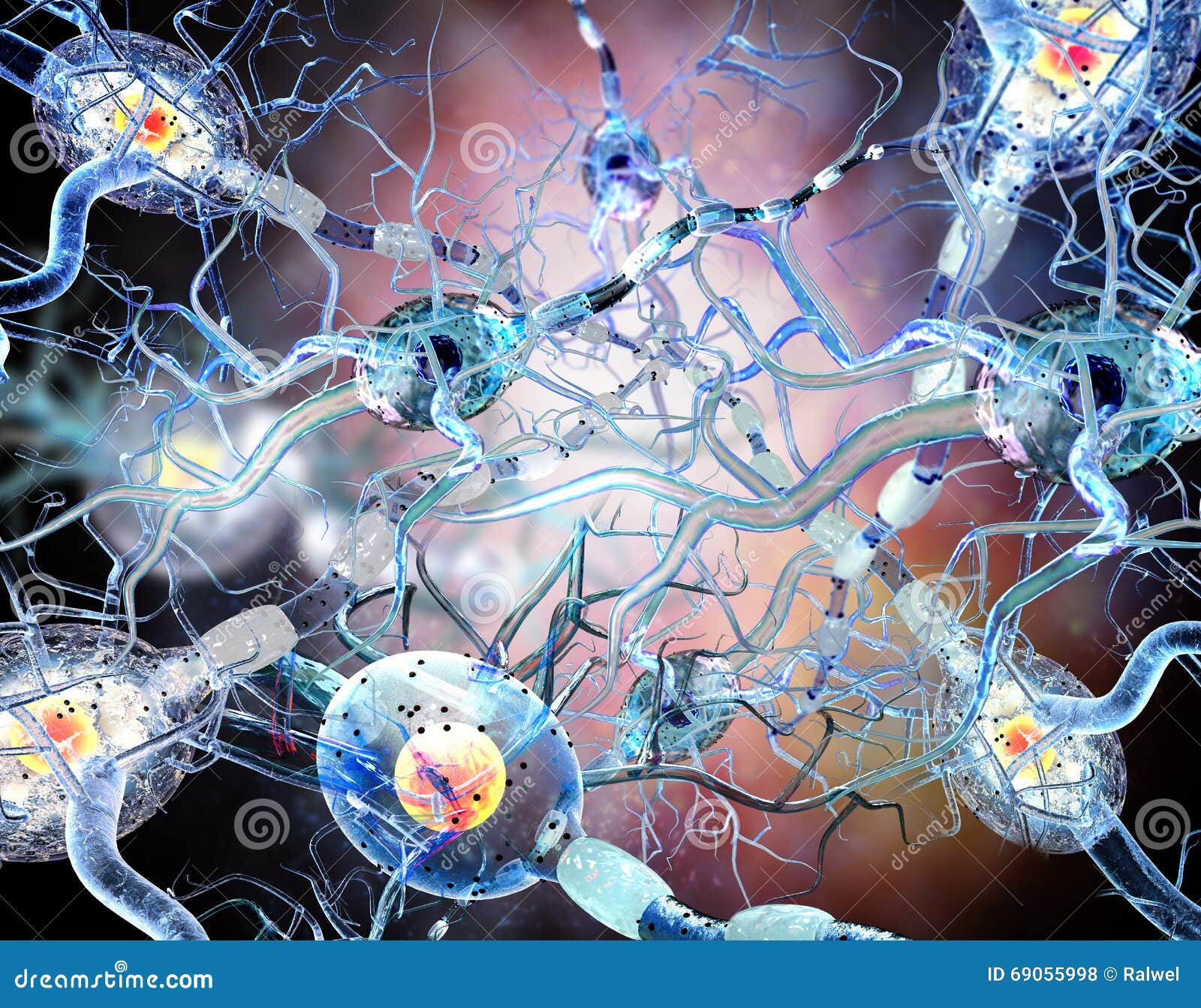 Illustrazione 3d Delle Cellule Nervose Illustrazione di Stock ...