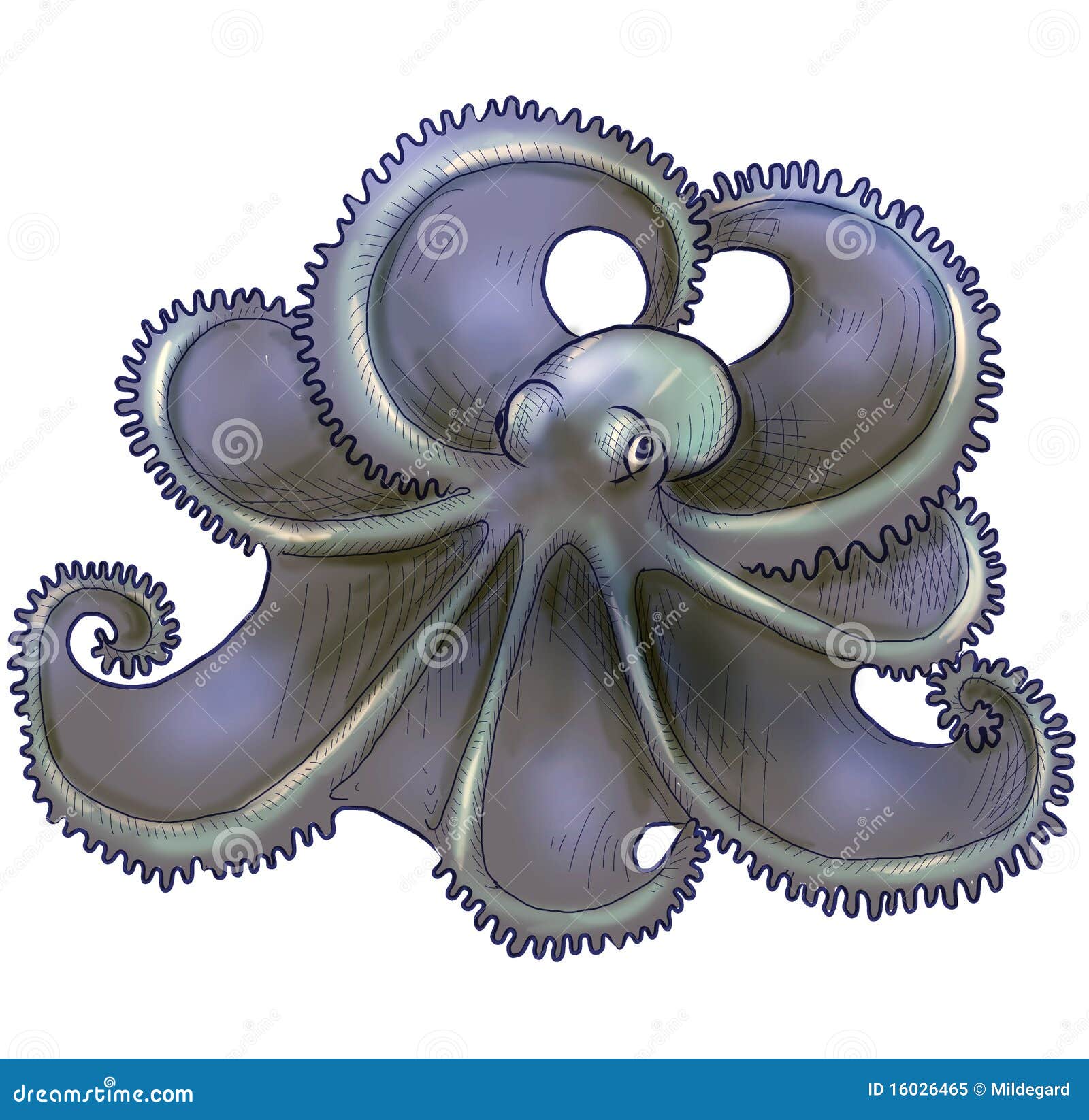 Illustrazione Del Polipo Isolata Illustrazione di Stock - Illustrazione ...