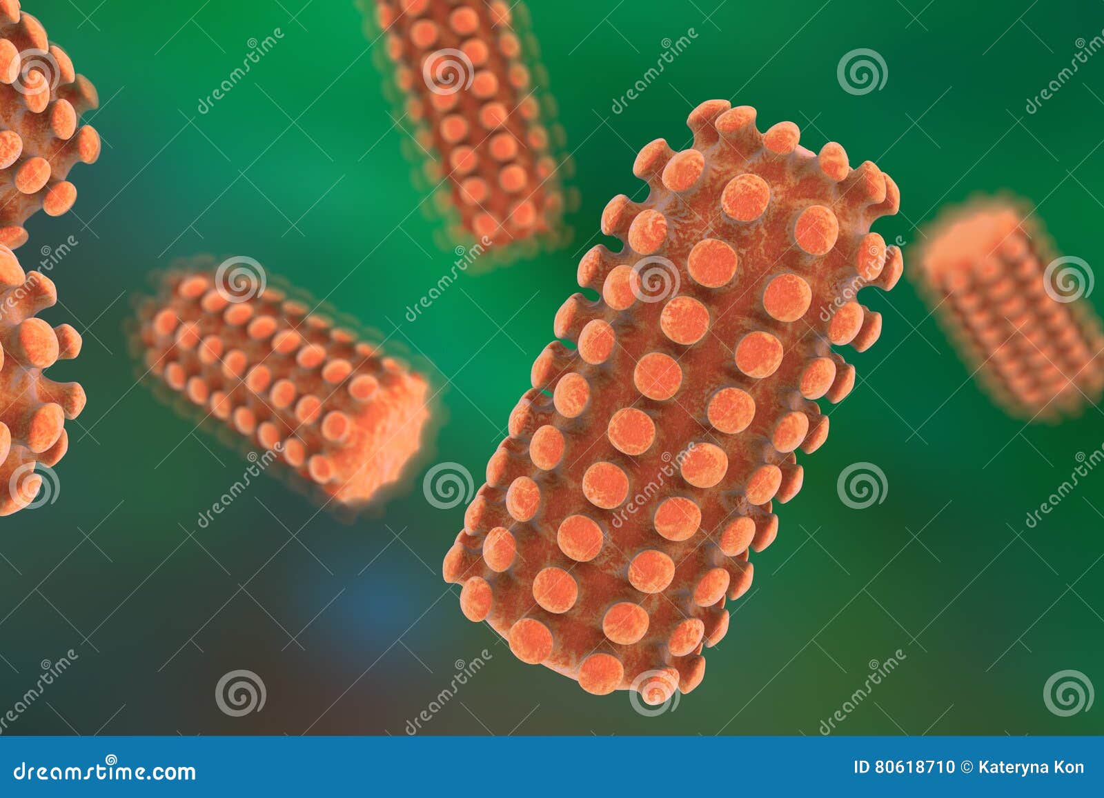 Illustrazione Del Virus Della Rabbia Illustrazione di Stock ...
