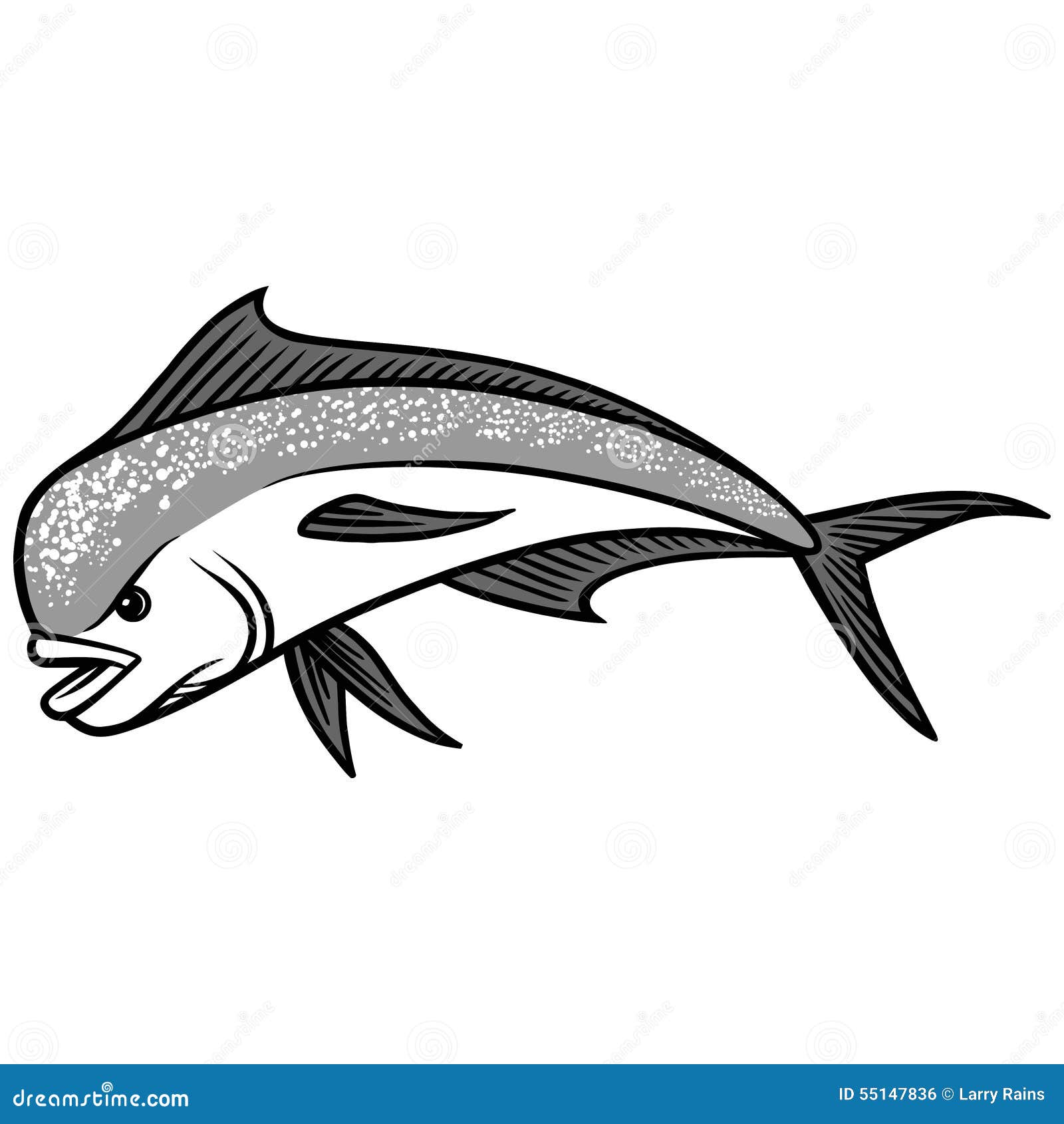 Illustrazione Della Lampuga Illustrazione Vettoriale - Illustrazione di ...