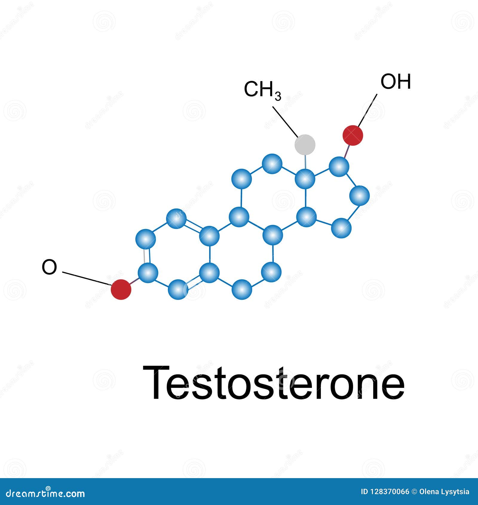 Illustrazione Di Formula Del Testosterone Illustrazione Vettoriale ...