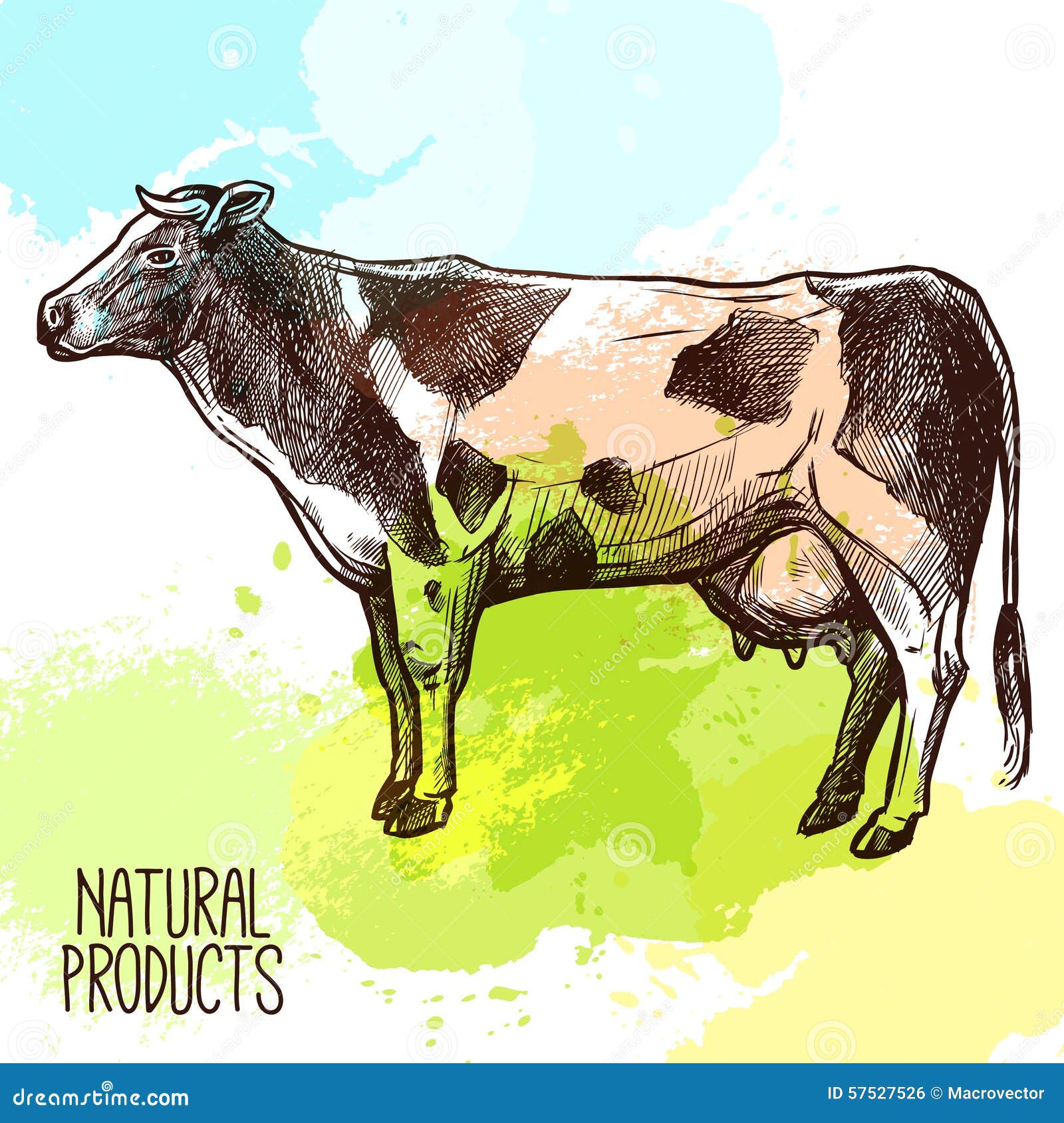 Illustrazione Di Schizzo Della Mucca Illustrazione Vettoriale ...