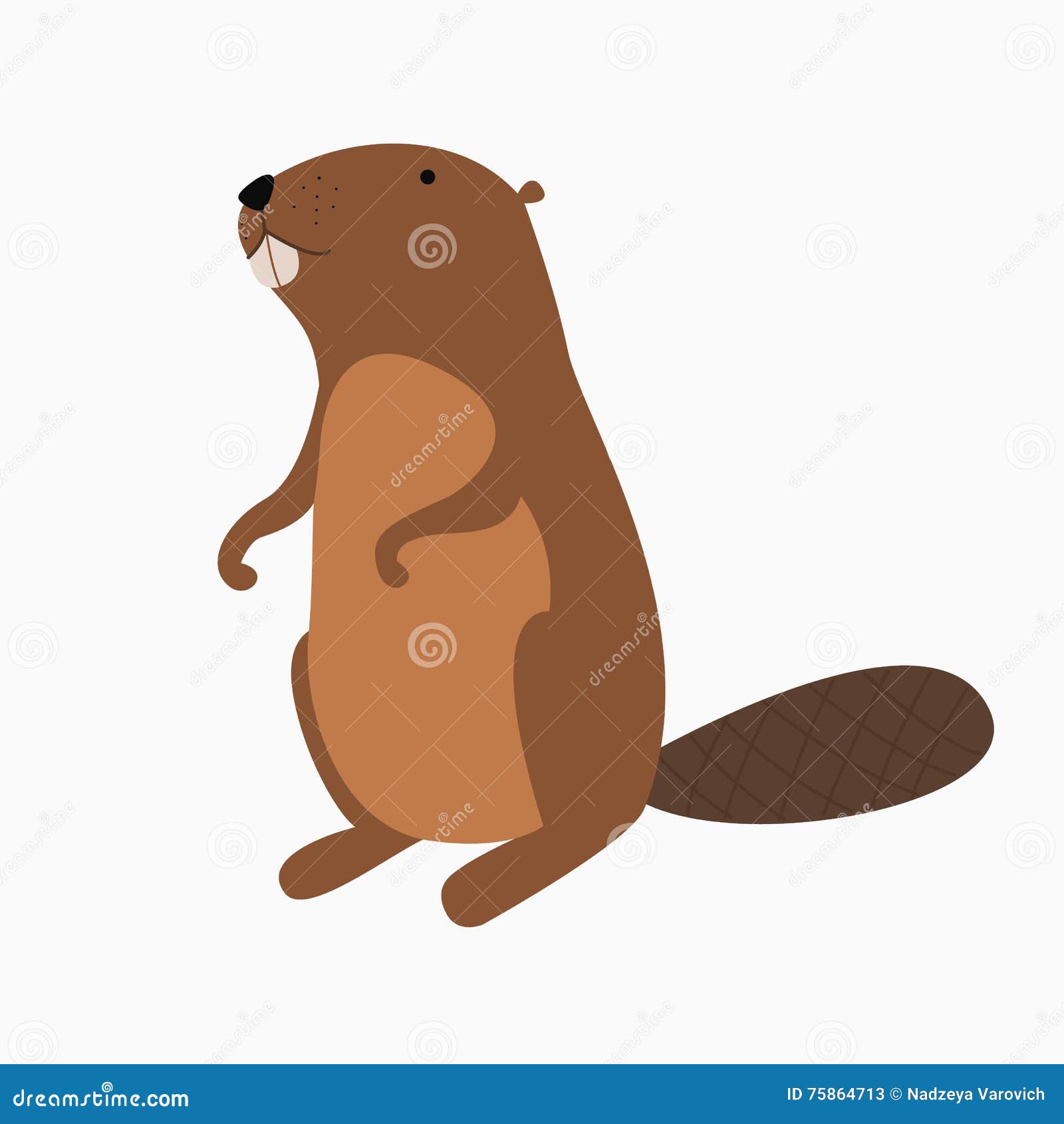 Illustrazione Di Un Castoro Illustrazione Vettoriale - Illustrazione di ...