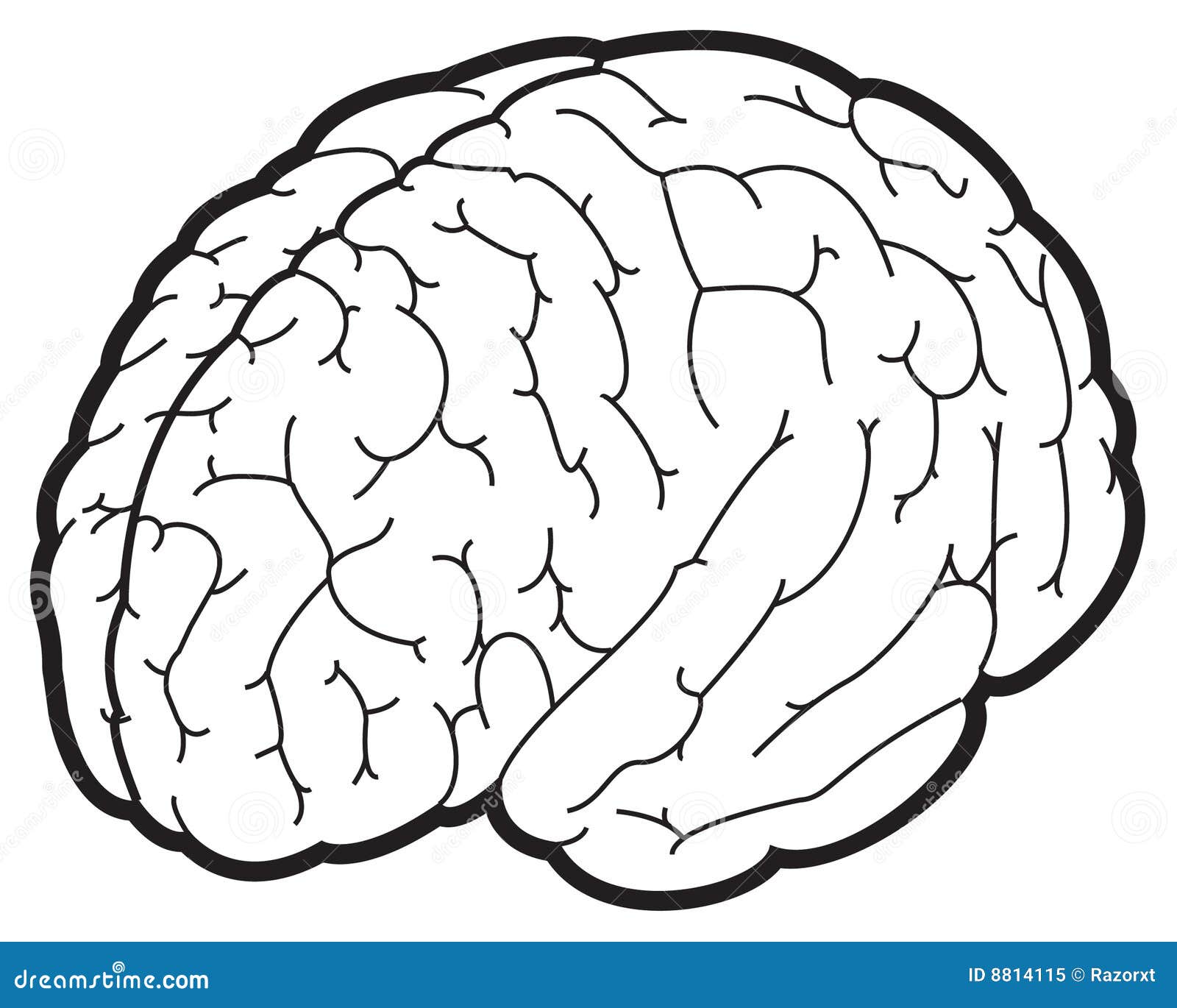 Illustrazione Di Un Cervello Illustrazione Vettoriale - Illustrazione ... Illustrazione Di Un Cervello Illustrazione Vettoriale - Illustrazione ...