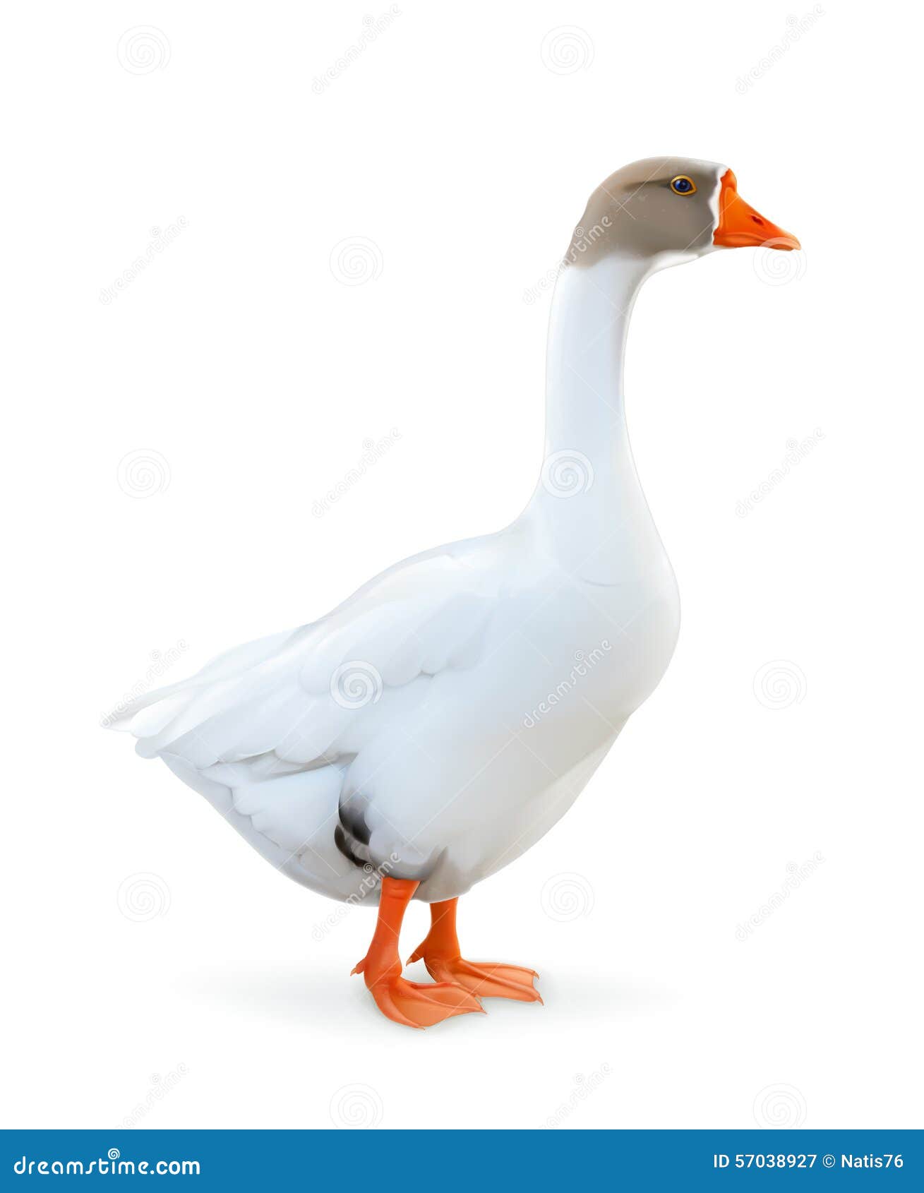 Illustrazione Di Vettore Dell'oca Illustrazione Vettoriale ...