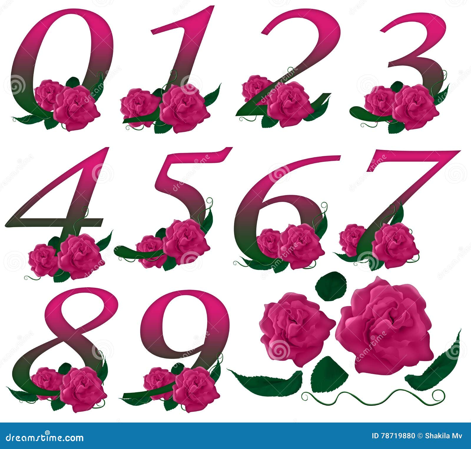Illustrazione Floreale Rosa Di Numeri Fotografia Stock - Illustrazione ...