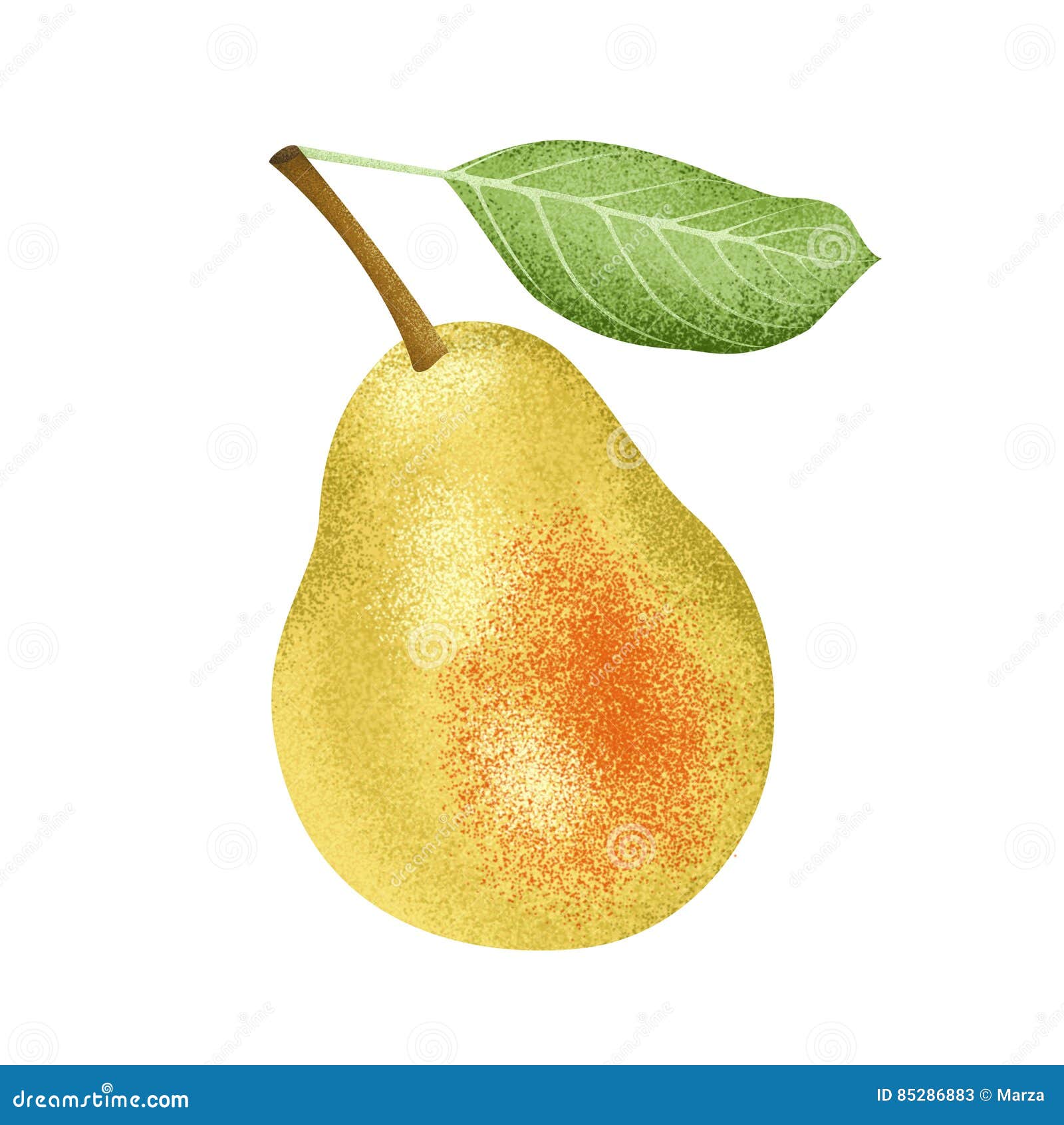 Ilustração Da Pera Colorida Ilustração Stock - Ilustração de gourmet ...