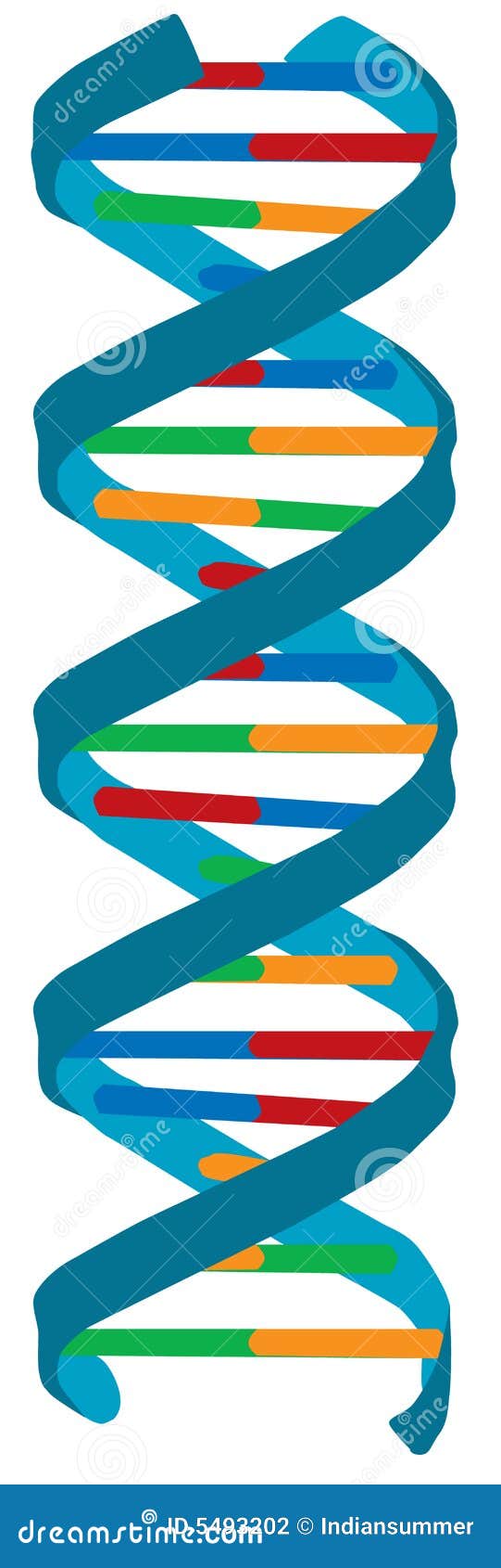 Ilustração De Cor Do ADN, Isolada Ilustração Stock - Ilustração de gene ...