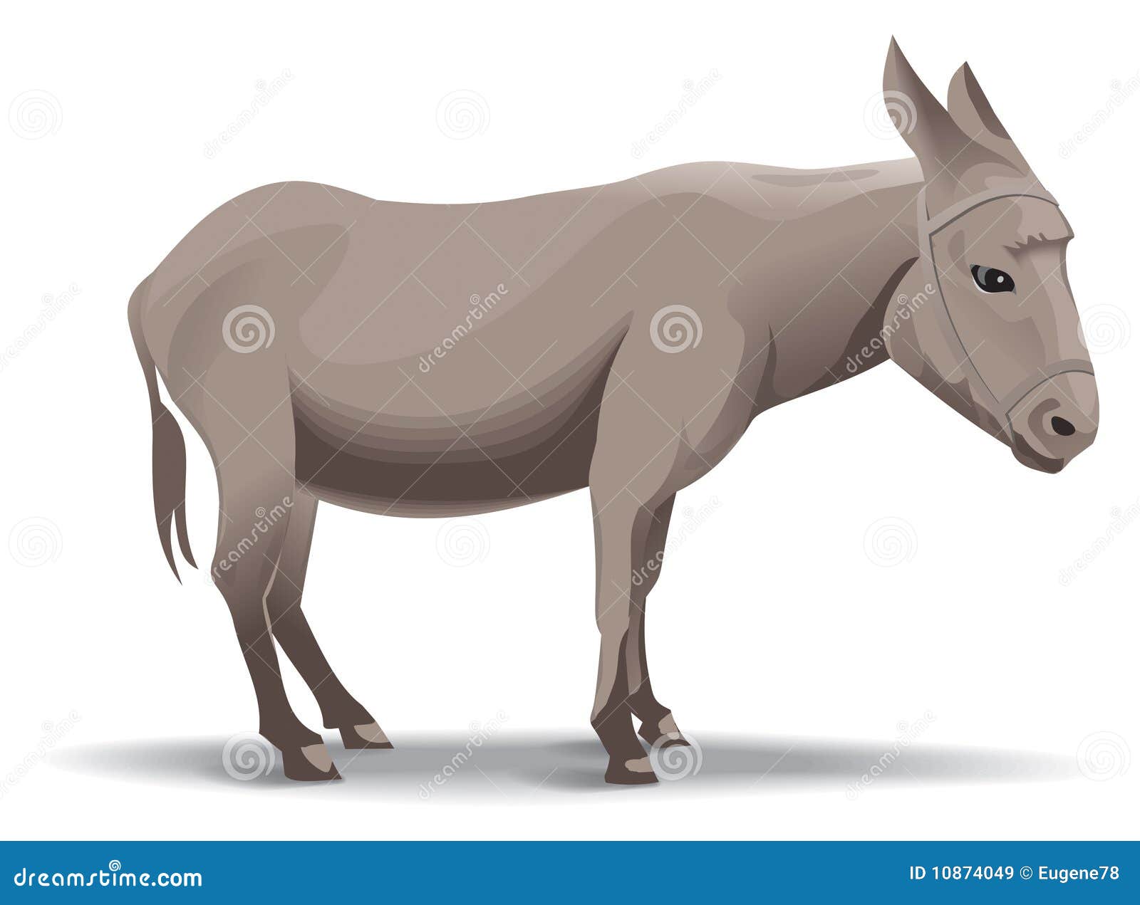 Ilustração do asno ilustração do vetor. Ilustração de pets - 10874049