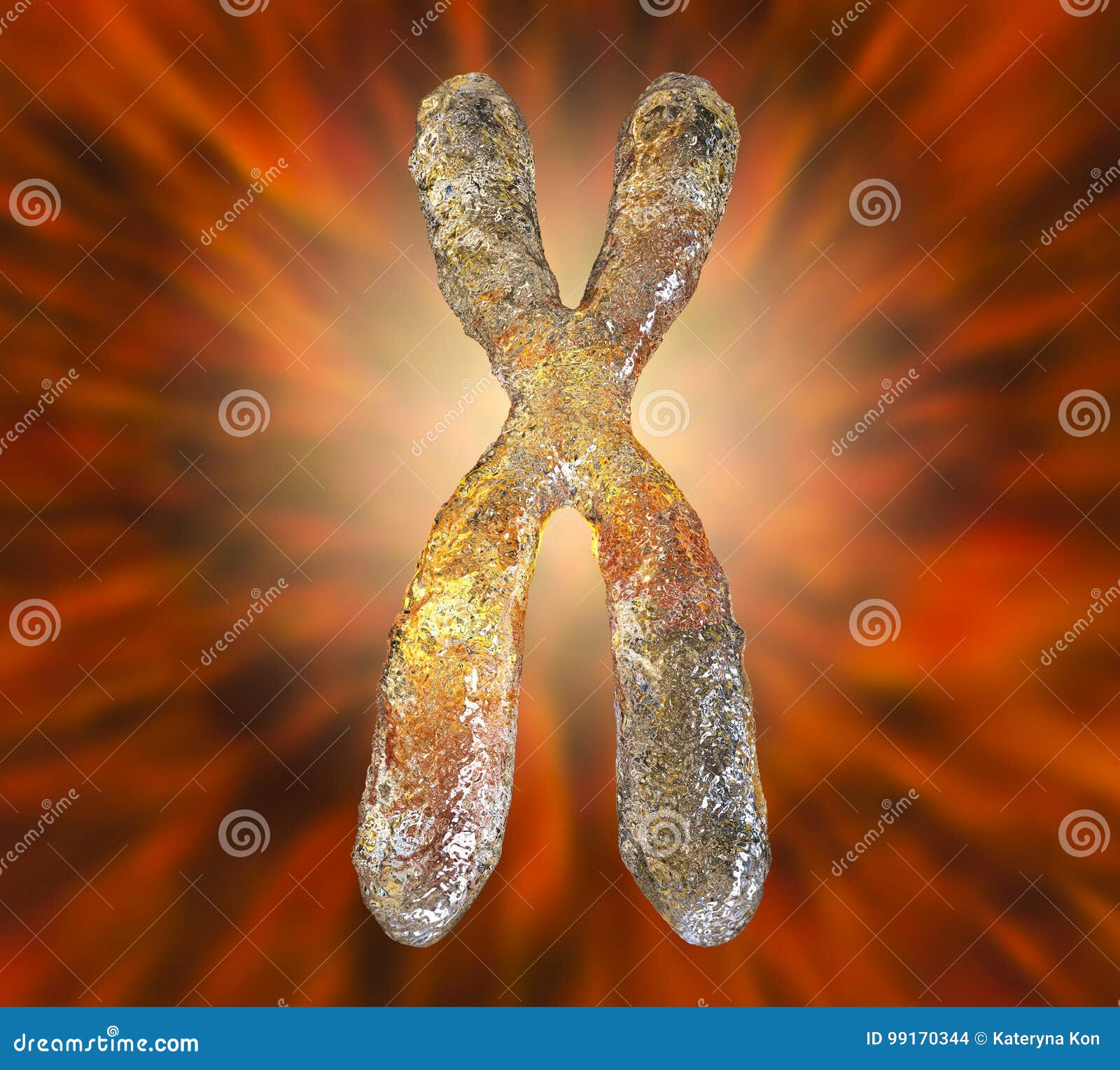 Ilustração Do Cromossoma Humano Ilustração Stock - Ilustração de médico ...