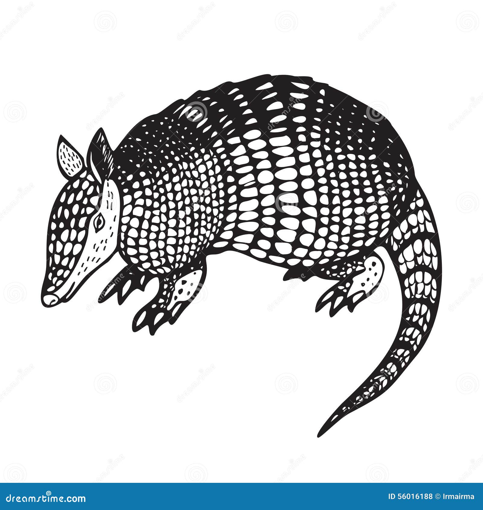 Ilustração Do Vetor Do Tatu Ilustração Stock - Ilustração de tatu ...