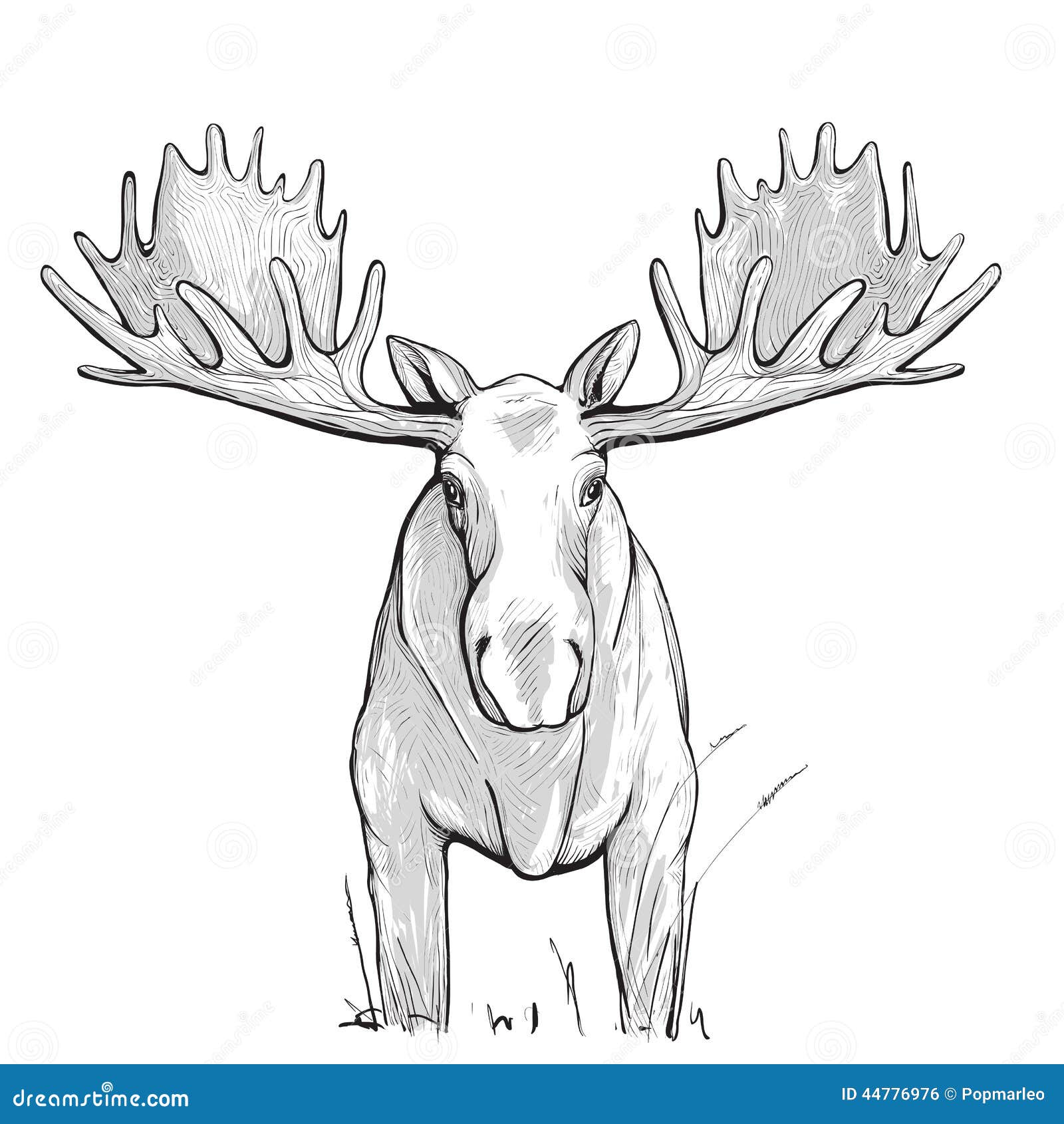 Ilustração dos alces ilustração do vetor. Ilustração de artwork - 44776976