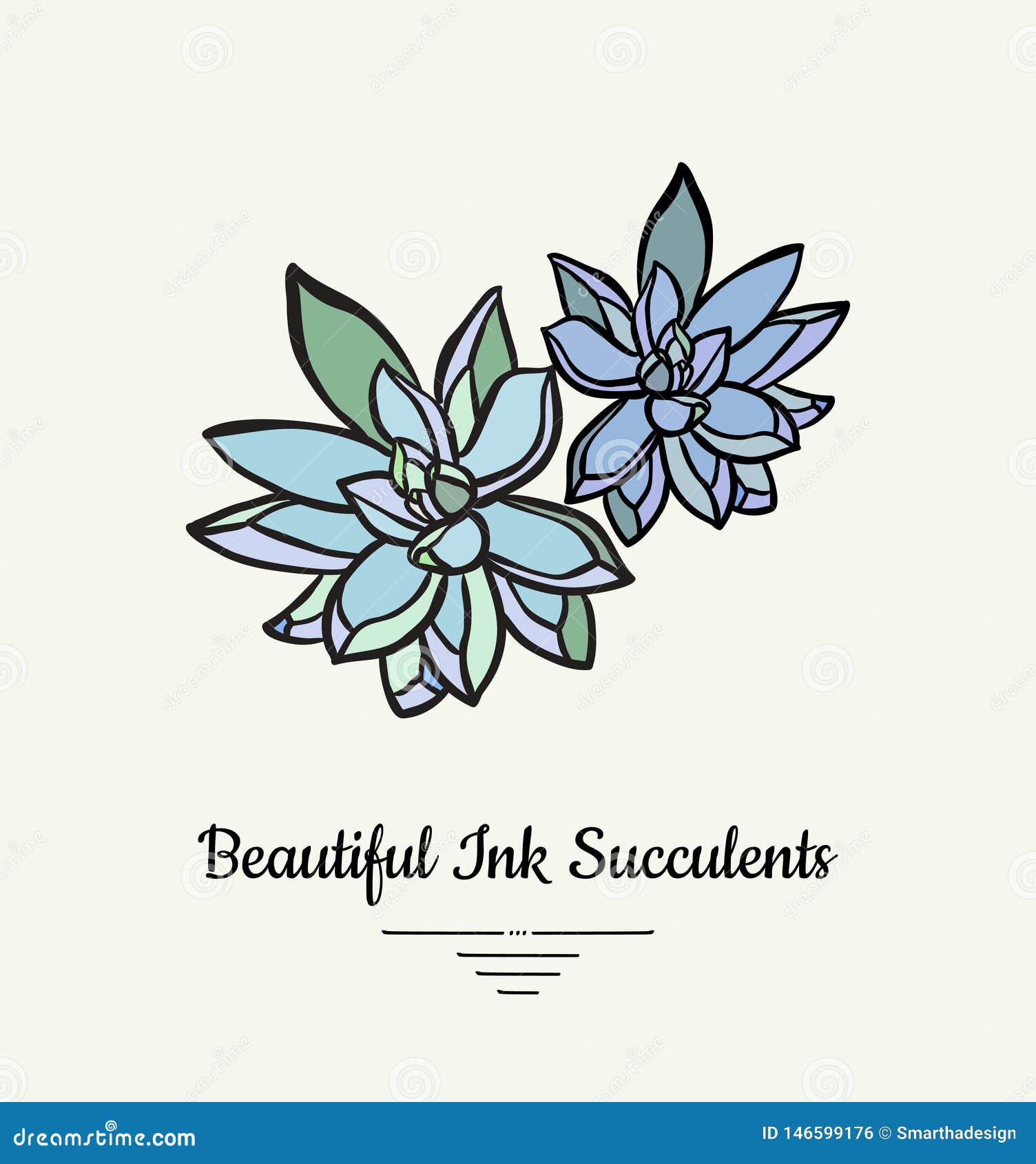 Echeveria Hand Drawn Succulent Vector Isolated Illustration Modern Ink