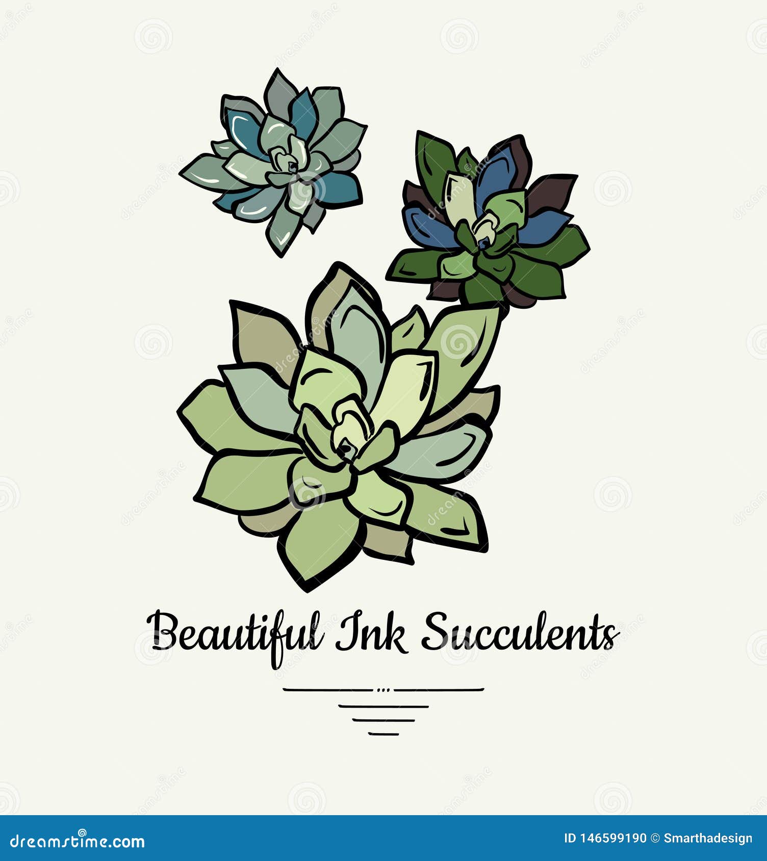 Echeveria Hand Drawn Succulent Vector Isolated Illustration Modern Ink