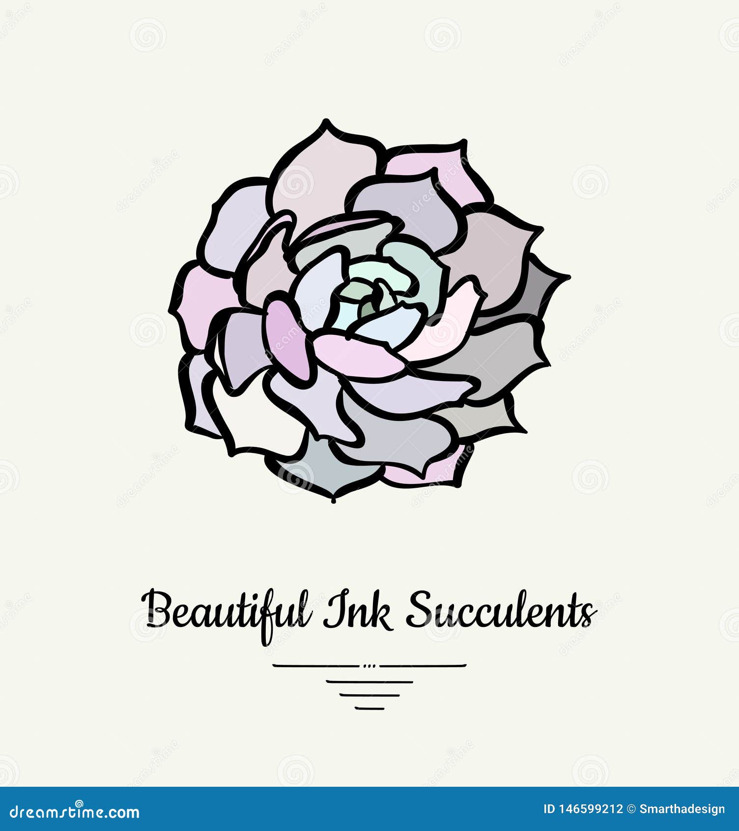 Echeveria Hand Drawn Succulent Vector Isolated Illustration Modern Ink