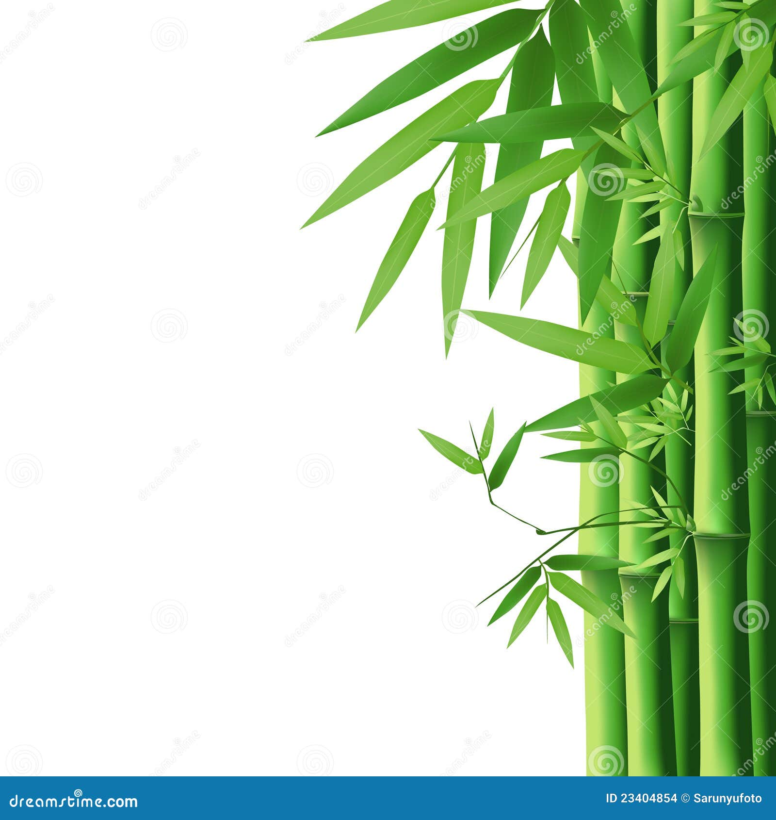 Ilustración De Bambú Del Vector Ilustración del Vector - Ilustración de ...