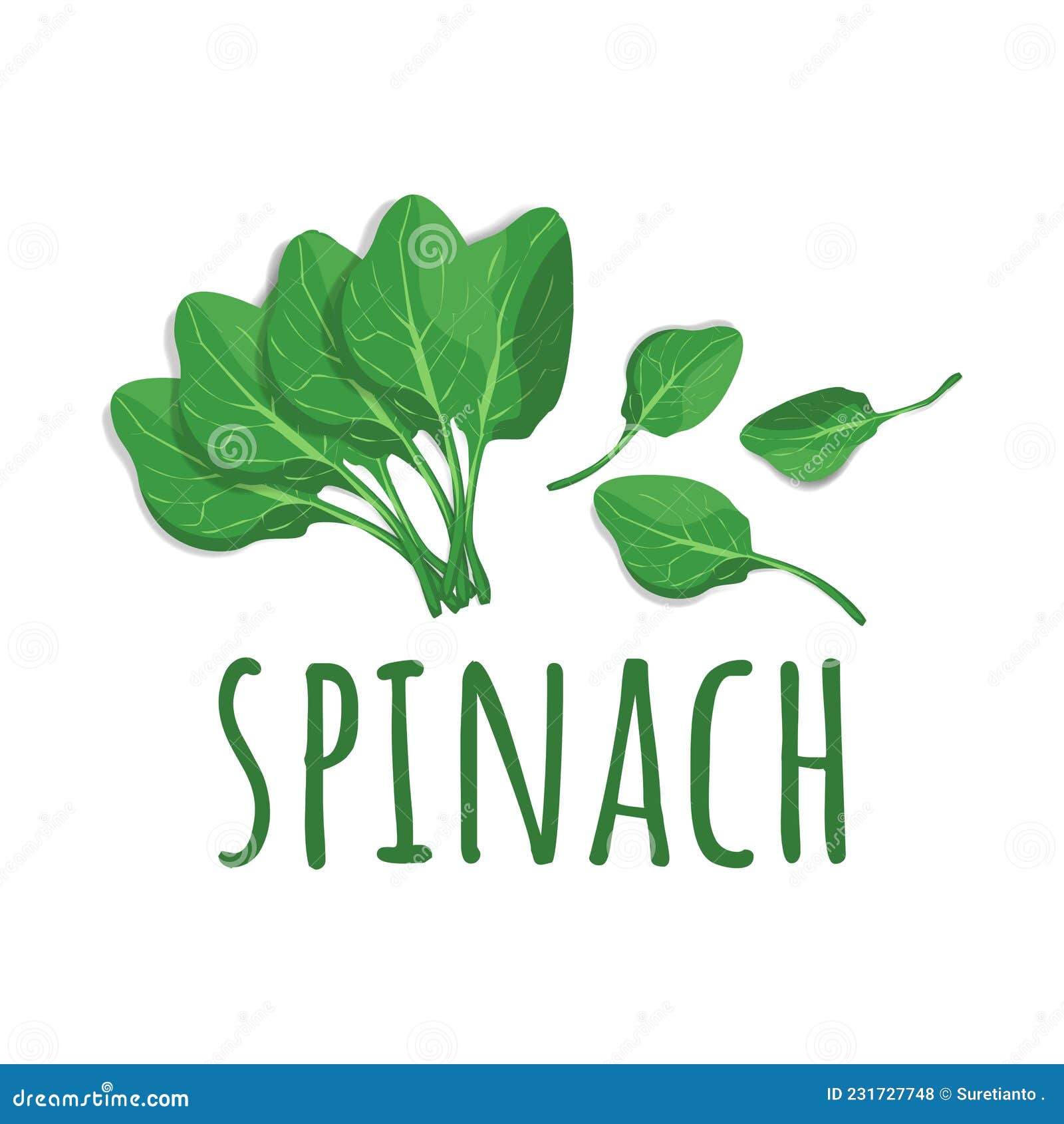 Ilustración de espinacas ilustración del vector. Ilustración de verde ...