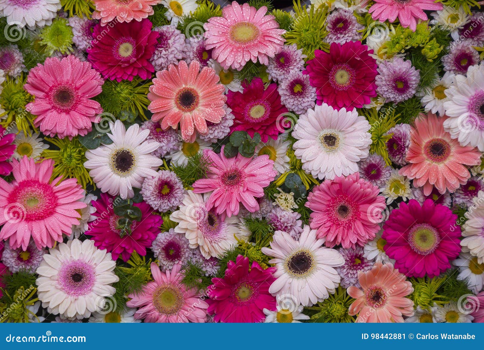 Ilustración De La Flor Textures Imagen de archivo - Imagen de principal ...