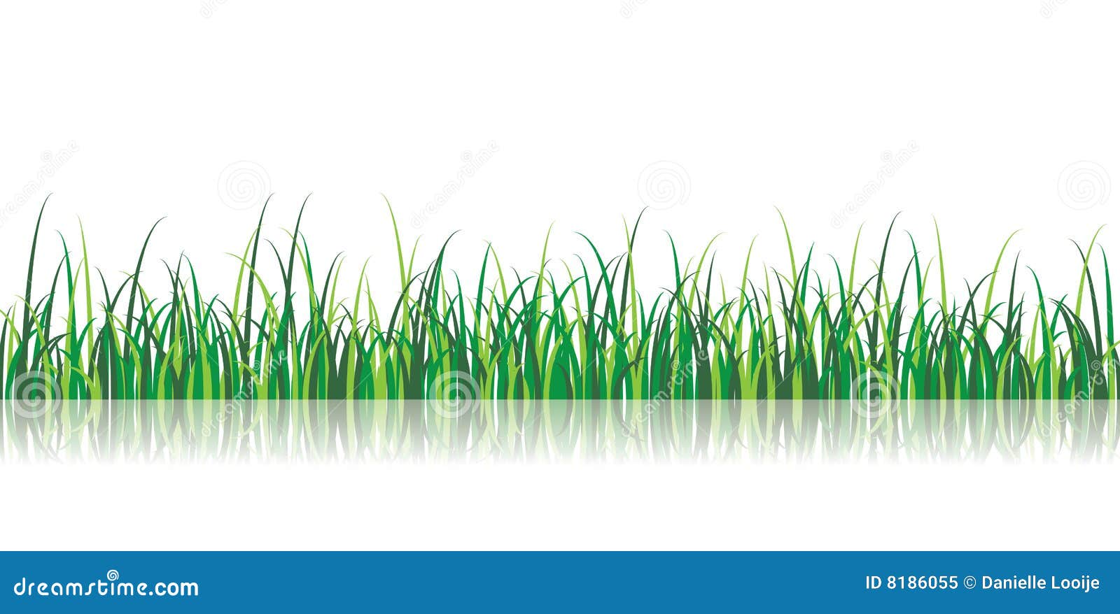 Ilustración De La Hierba Del Vector Ilustración del Vector ...
