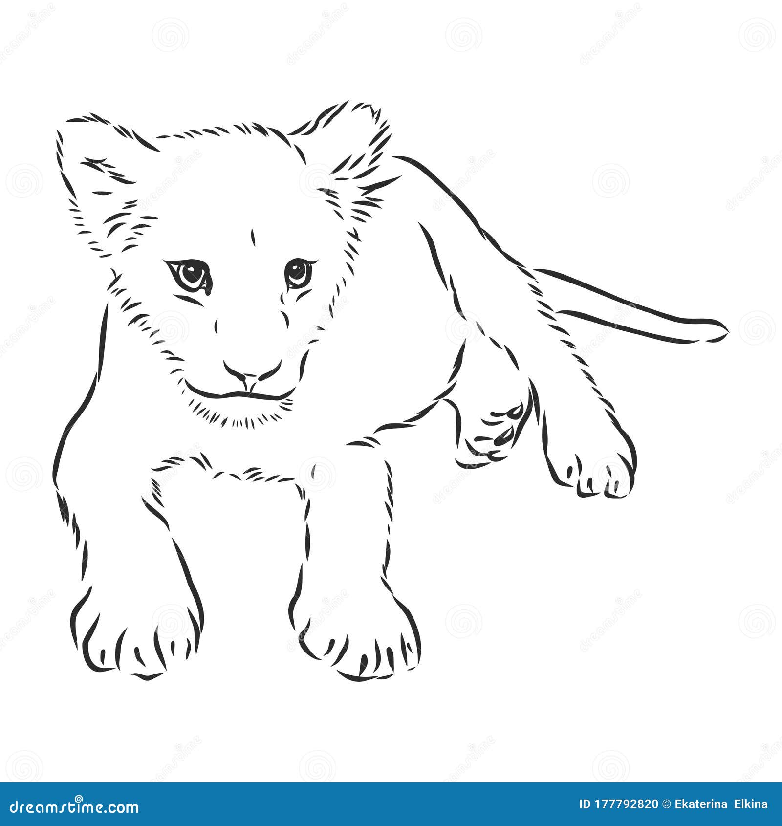 Ilustración De Un Vector De Bebé León Stock de ilustración ...