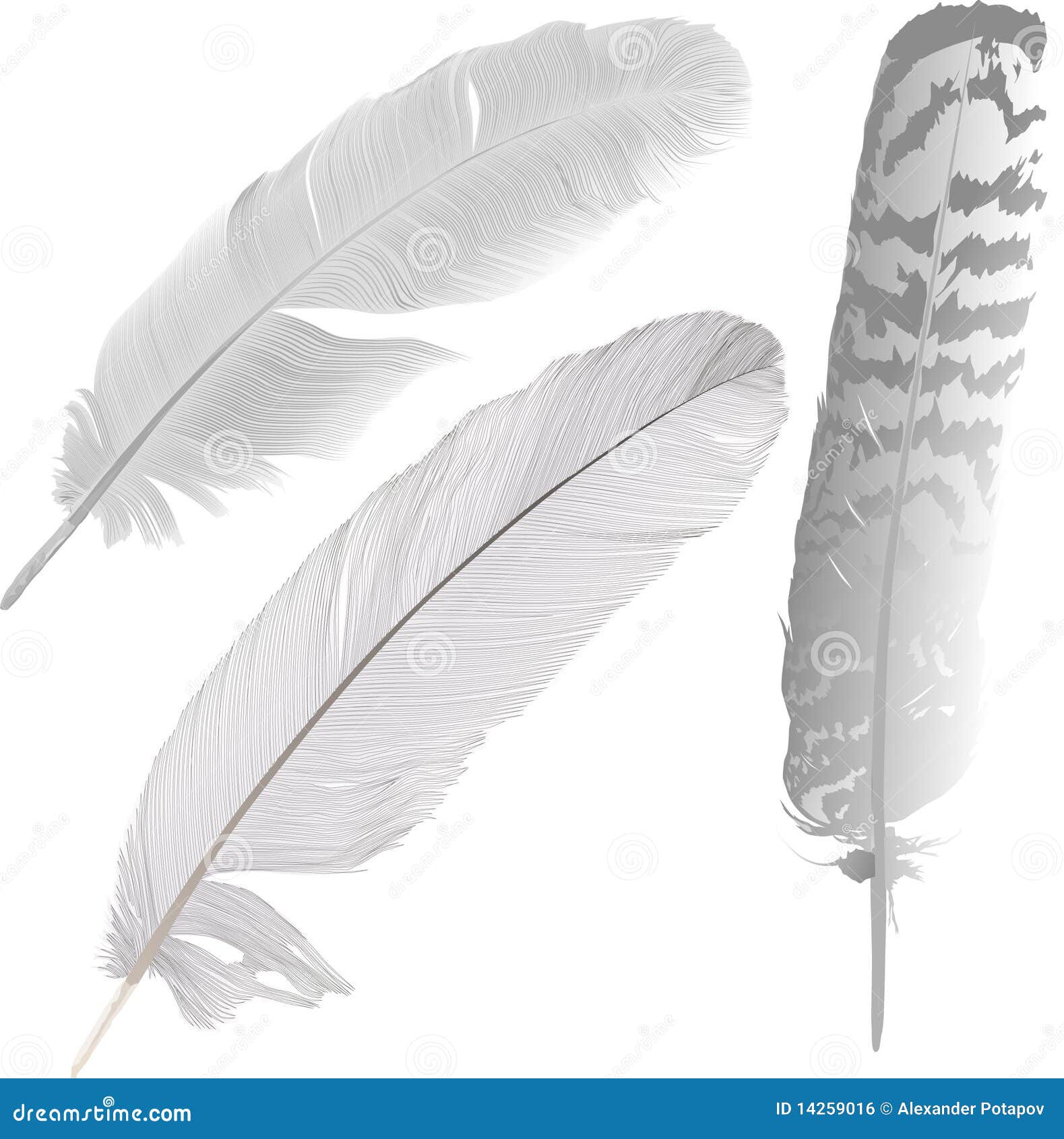 Ilustración Gris De Tres Plumas Ilustración del Vector - Ilustración de ...