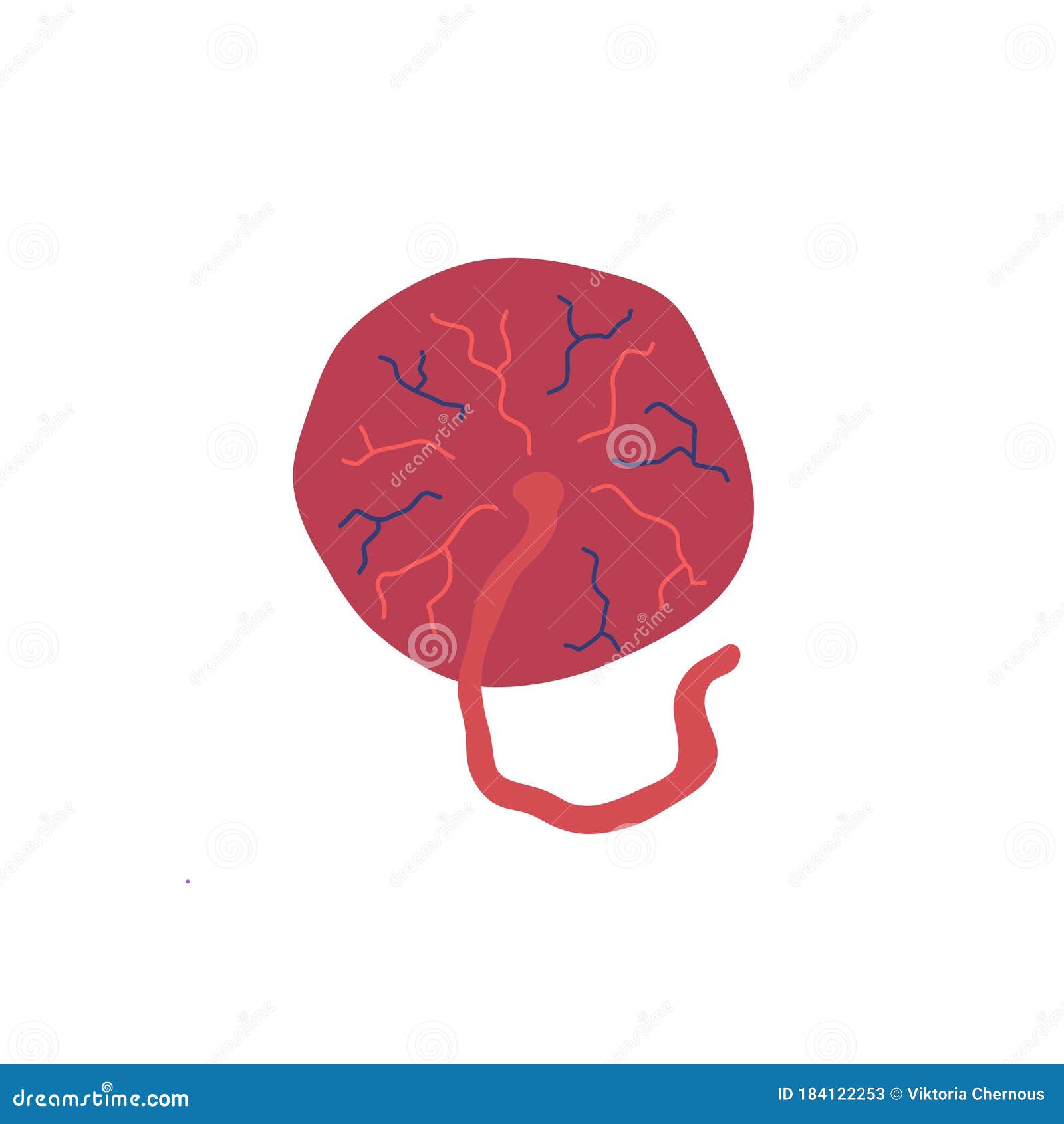 Ilustración Vectorial De Icono De Doodle Placenta Stock de ilustración ...