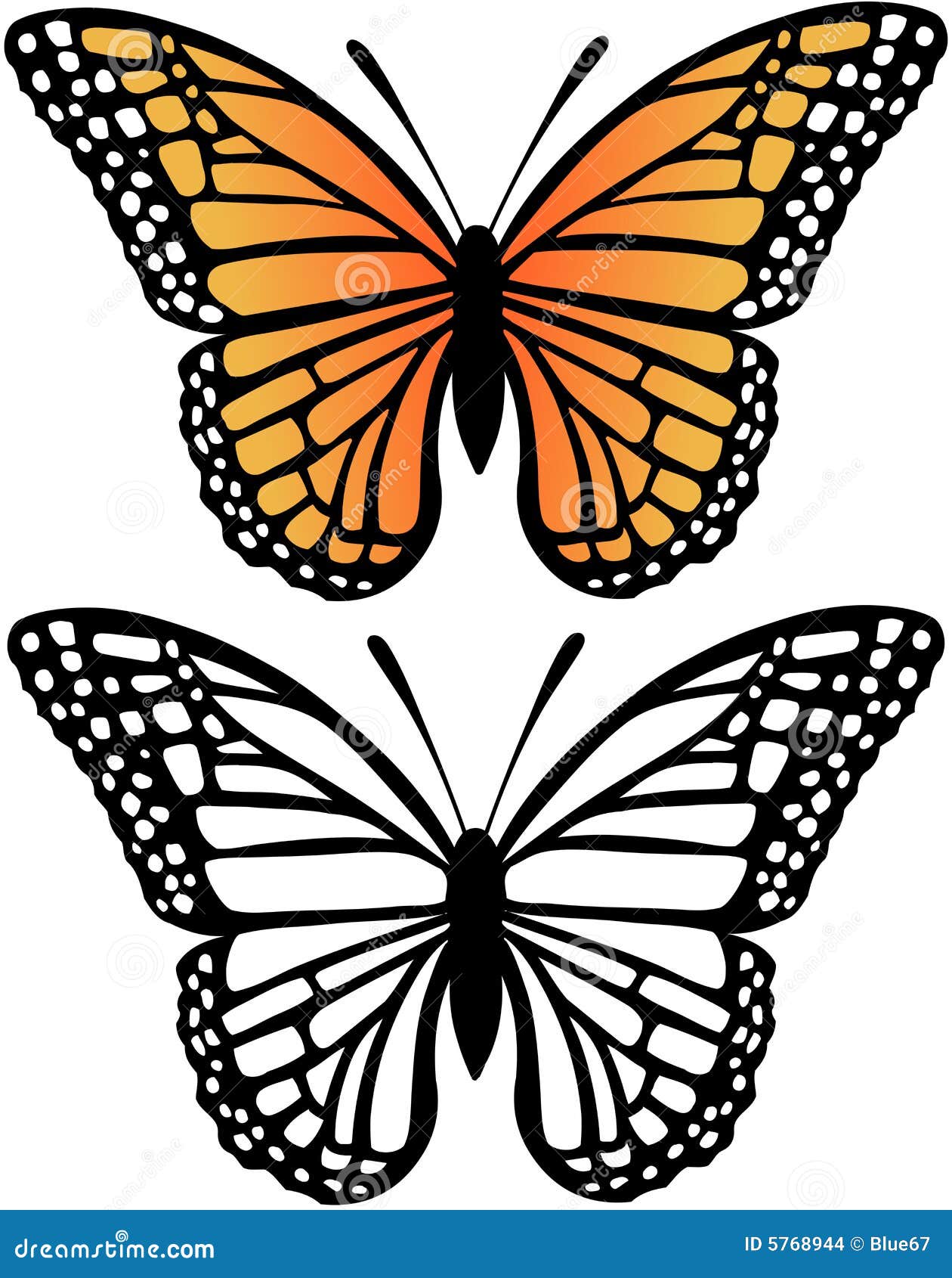 Ilustración Del Vector De La Mariposa De Monarca Ilustración del Vector - Ilustración de arte ...