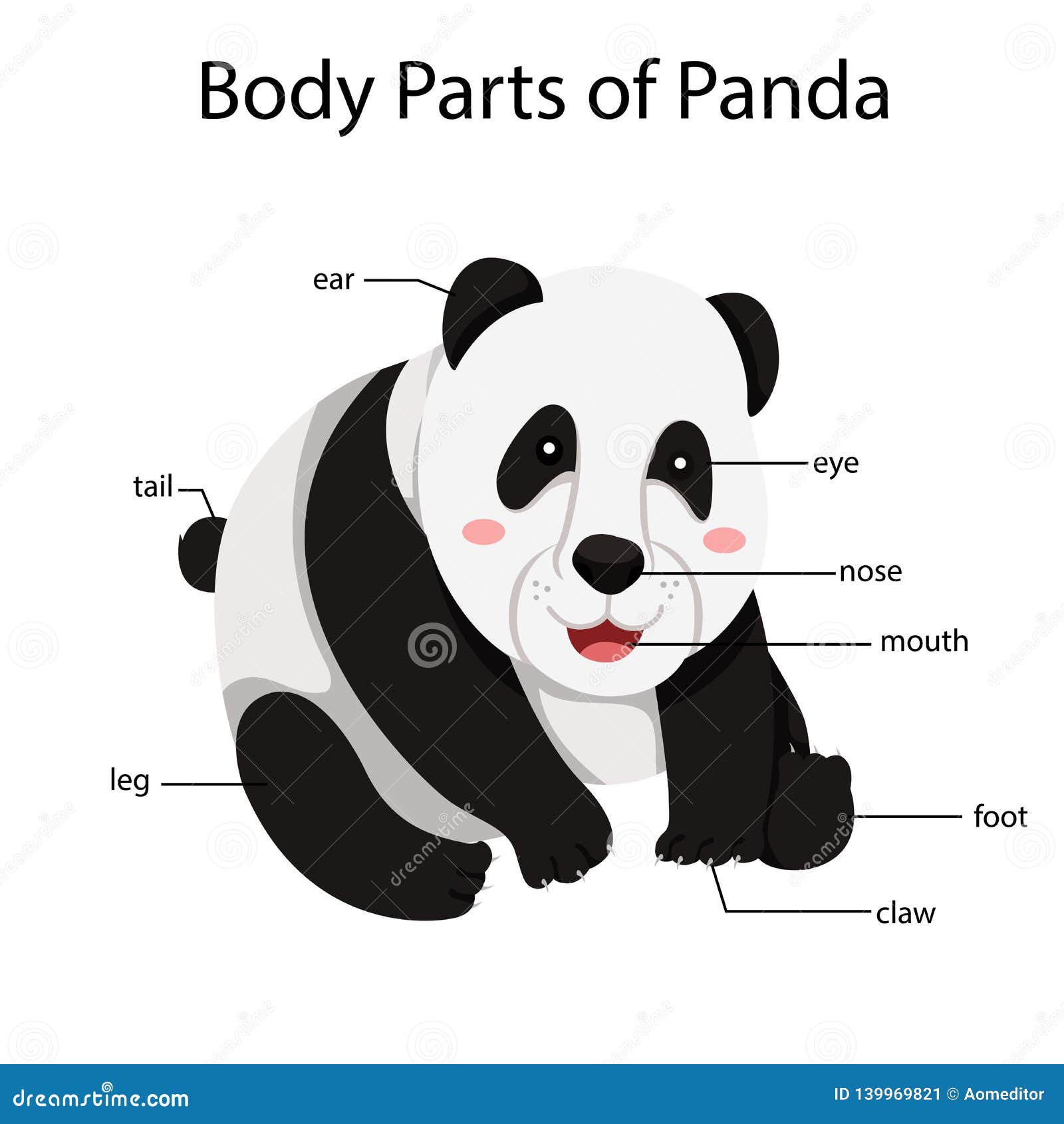 Ilustrador Das Partes Do Corpo De Panda Ilustração do Vetor ...