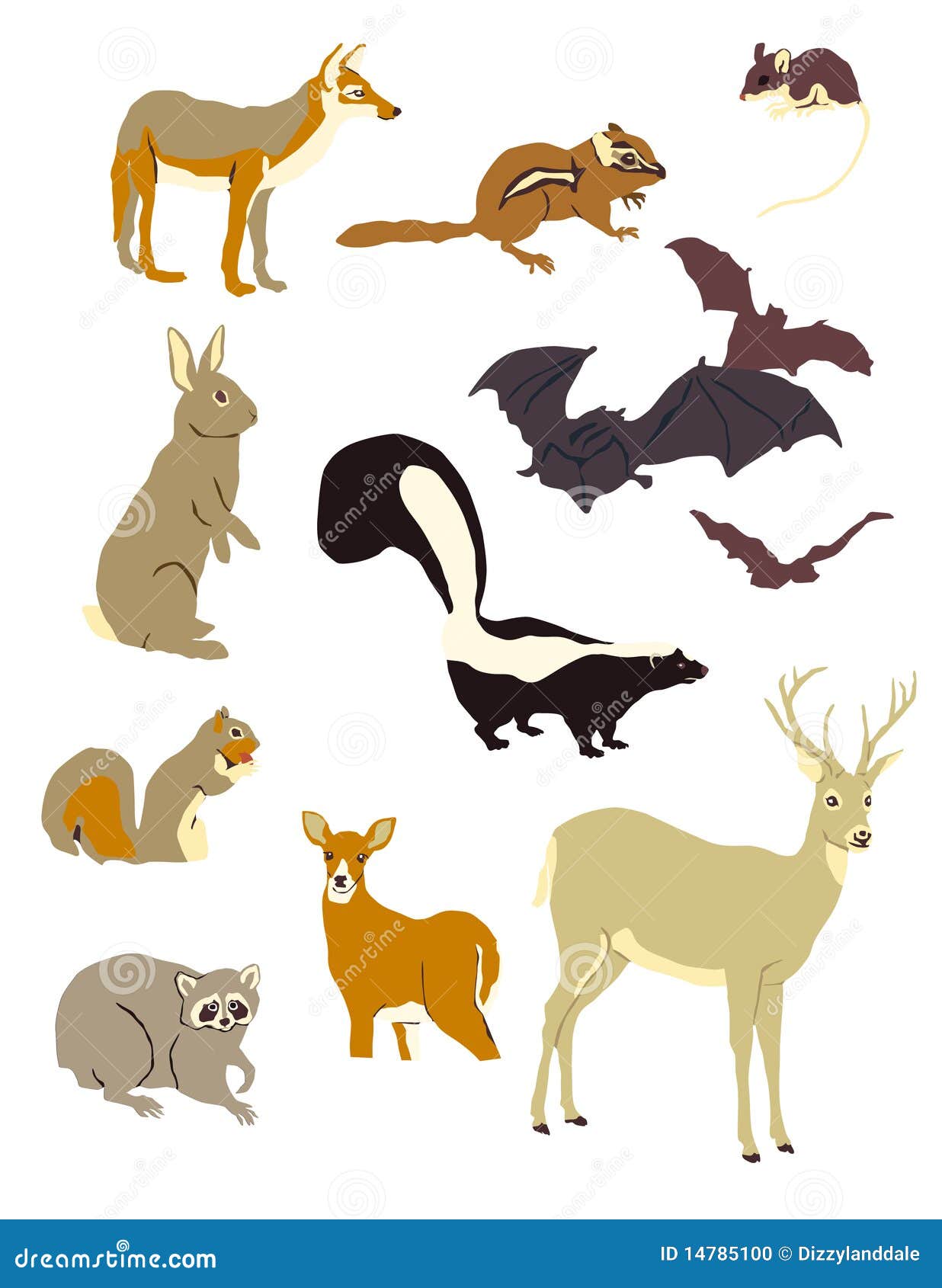 Imágenes Gráficas De Mamíferos Ilustración del Vector - Ilustración de ...