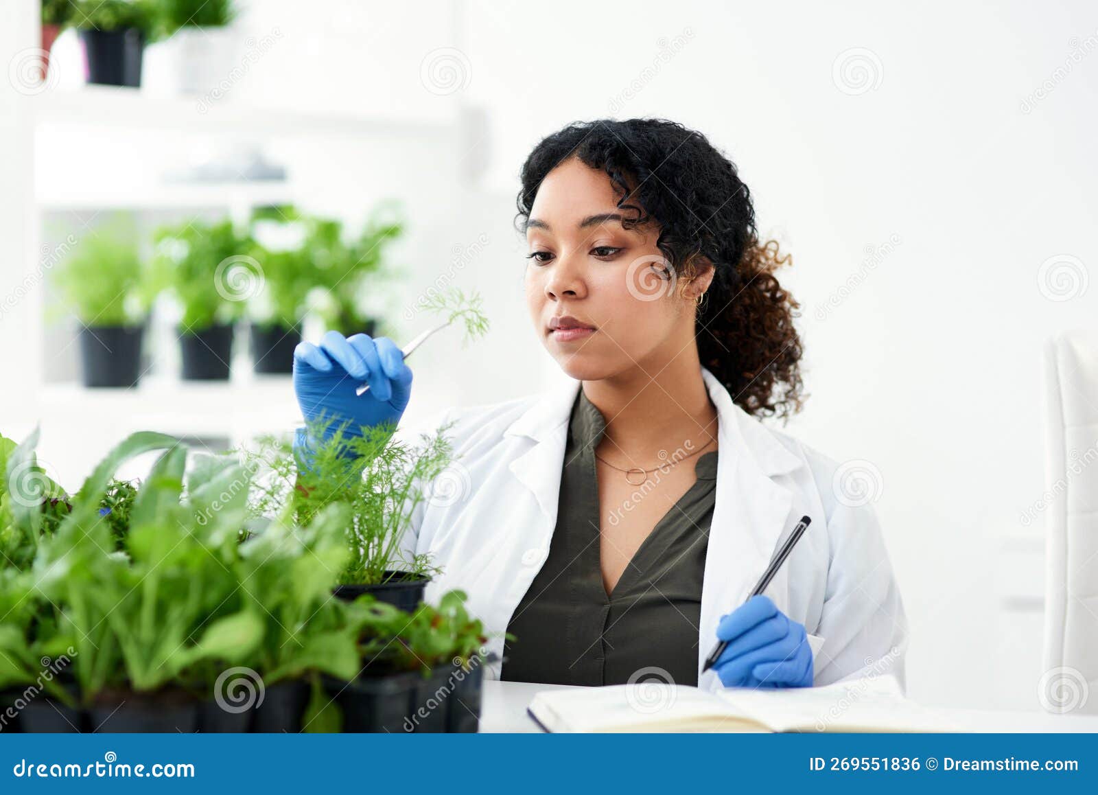 Im Studying the Reproductive Behavior of Plants. a Female Scientist ...