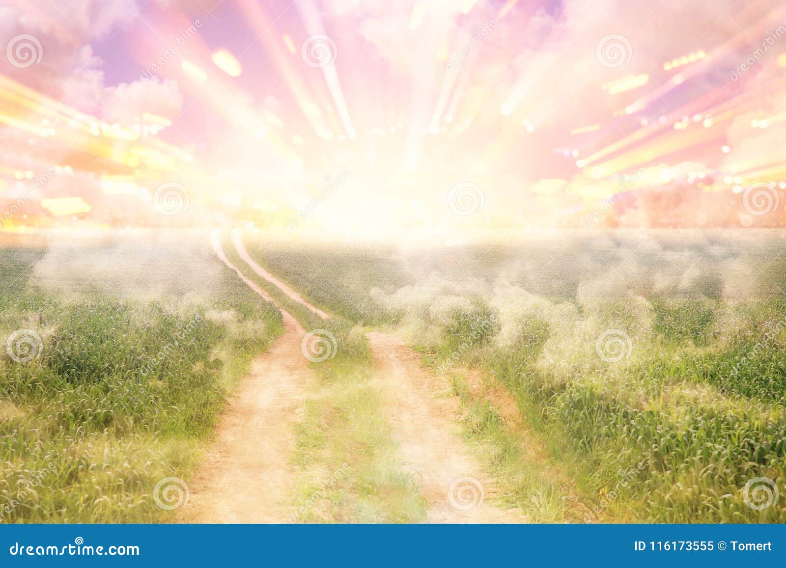 Image Of Abstract Path To Heaven Or Sky. Seeing The Light Concept Or ...