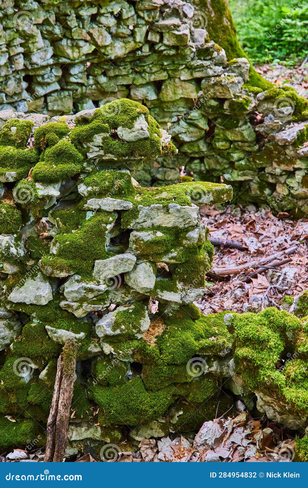 Abstract Stone Structure Covered in Green Growing Moss, Decay ...